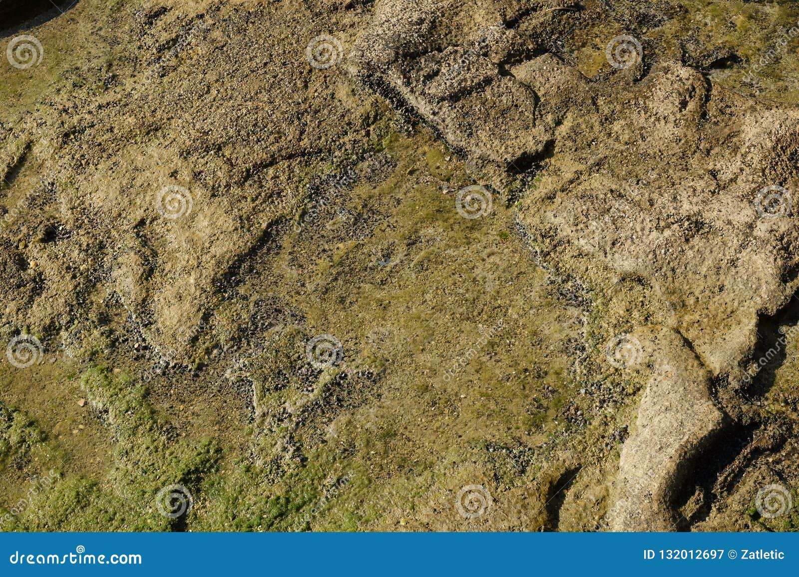 Stone texture under water stock image. Image of nature - 132012697
