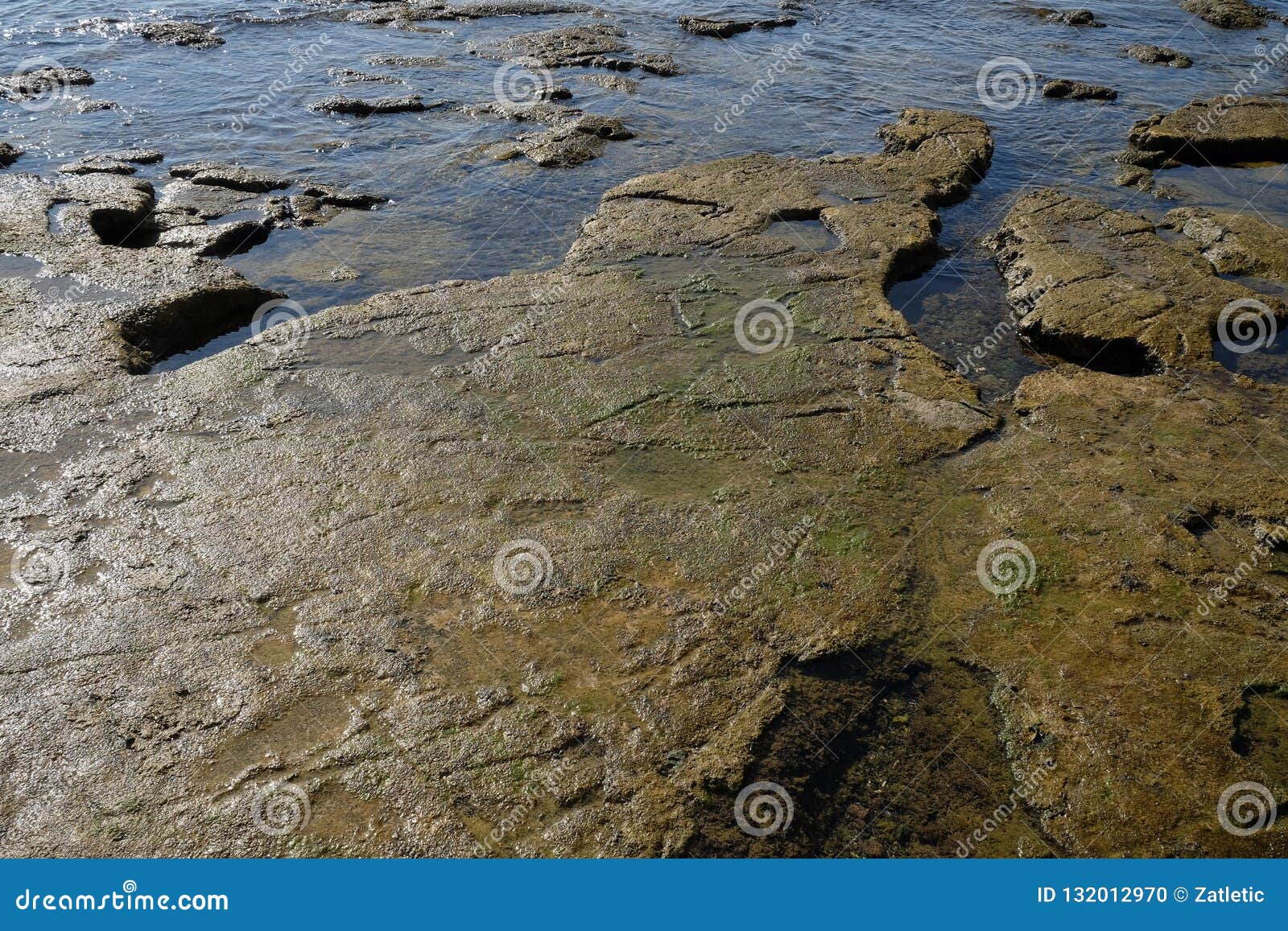 Stone texture under water stock photo. Image of aquatic - 132012970