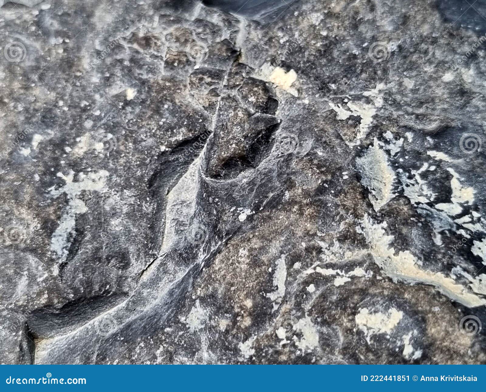 Stone Texture and Veins on it Close-up Stock Image - Image of brown ...