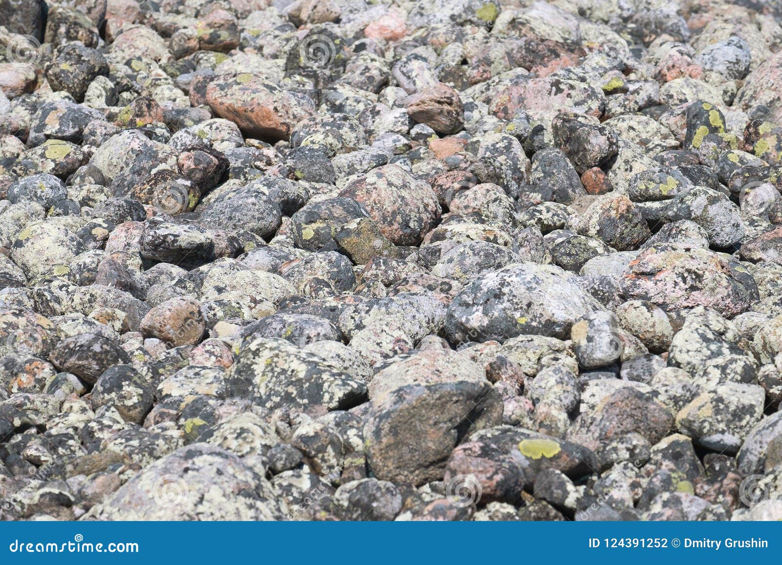 Stone texture seashore stock photo. Image of onega, coast - 124391252