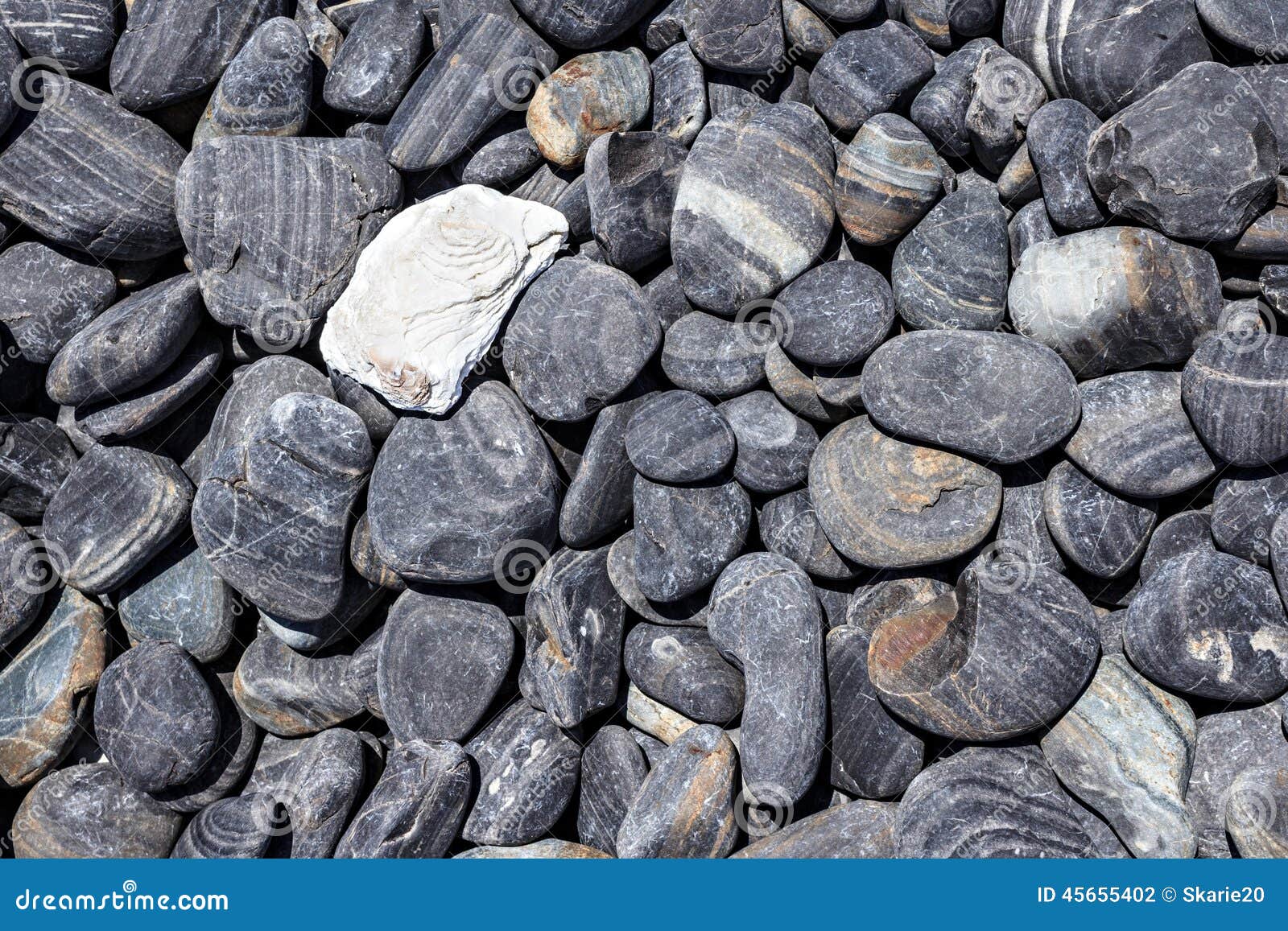 Stone texture stock photo. Image of pattern, white, background - 45655402