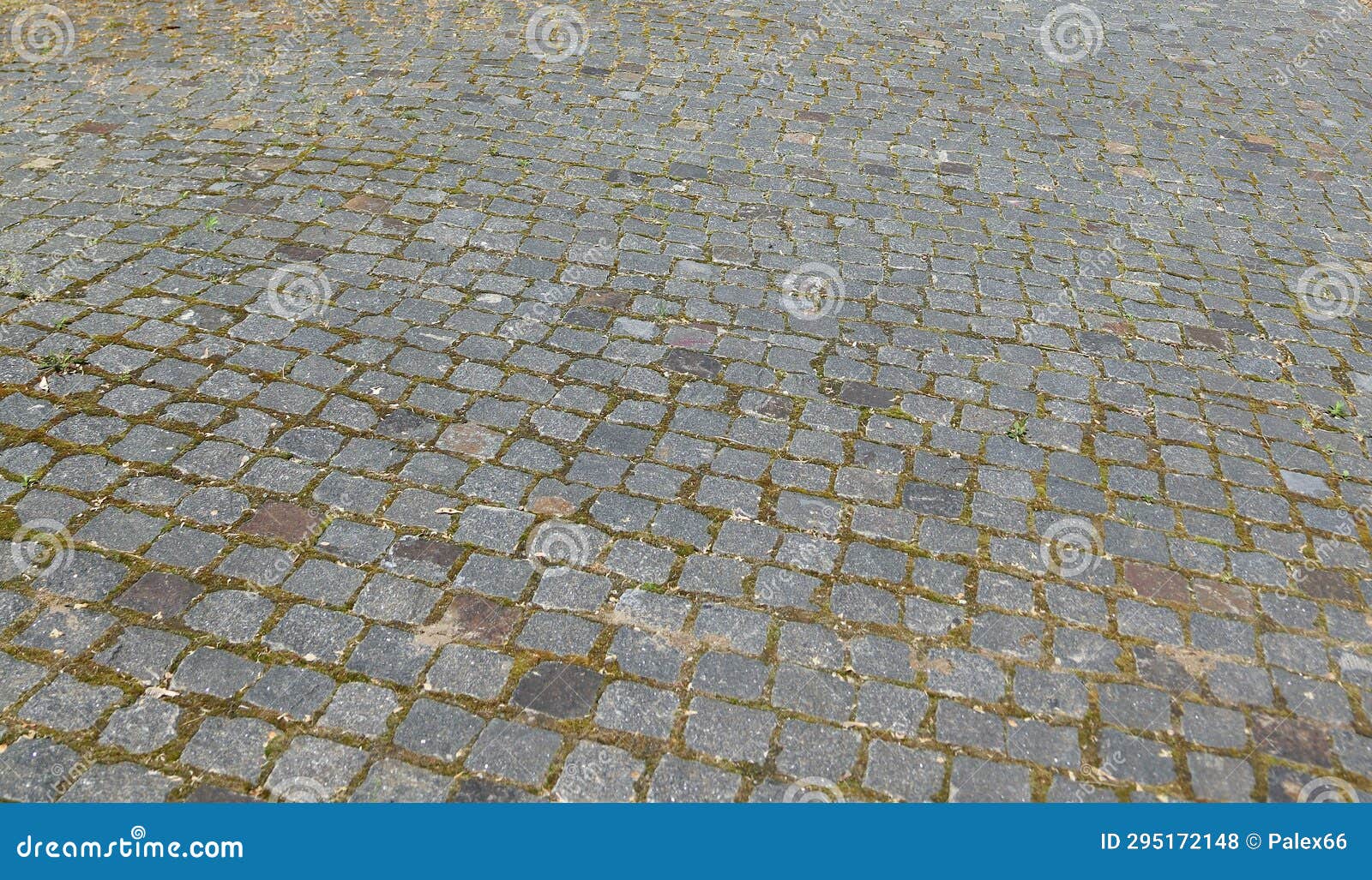 Stone Tiled Ramp Leading To A Wooden Aged Door Over A Stone Wall ...