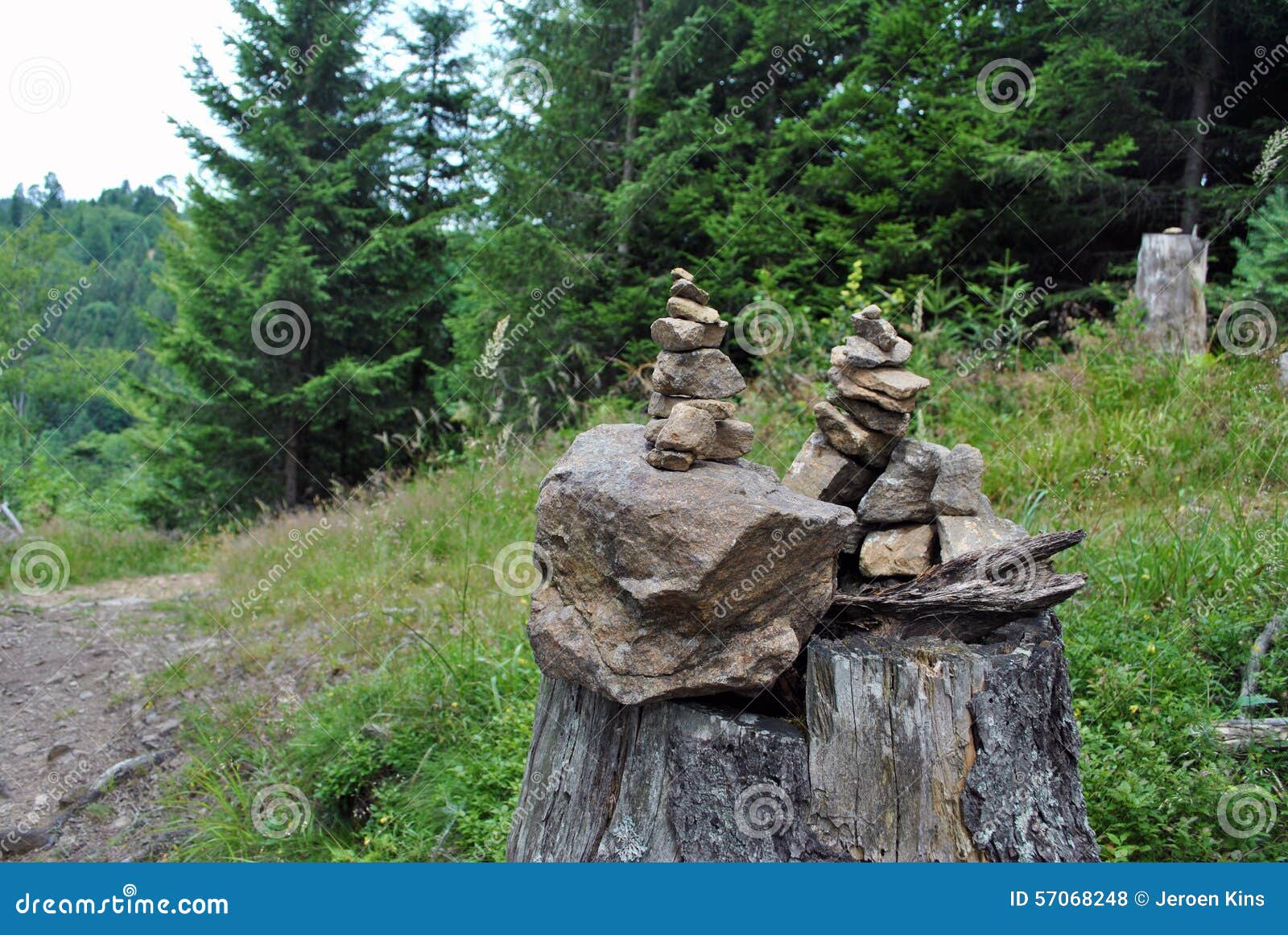 Stone Towers in the Black Forest Stock Photo - Image of hill, wood ...