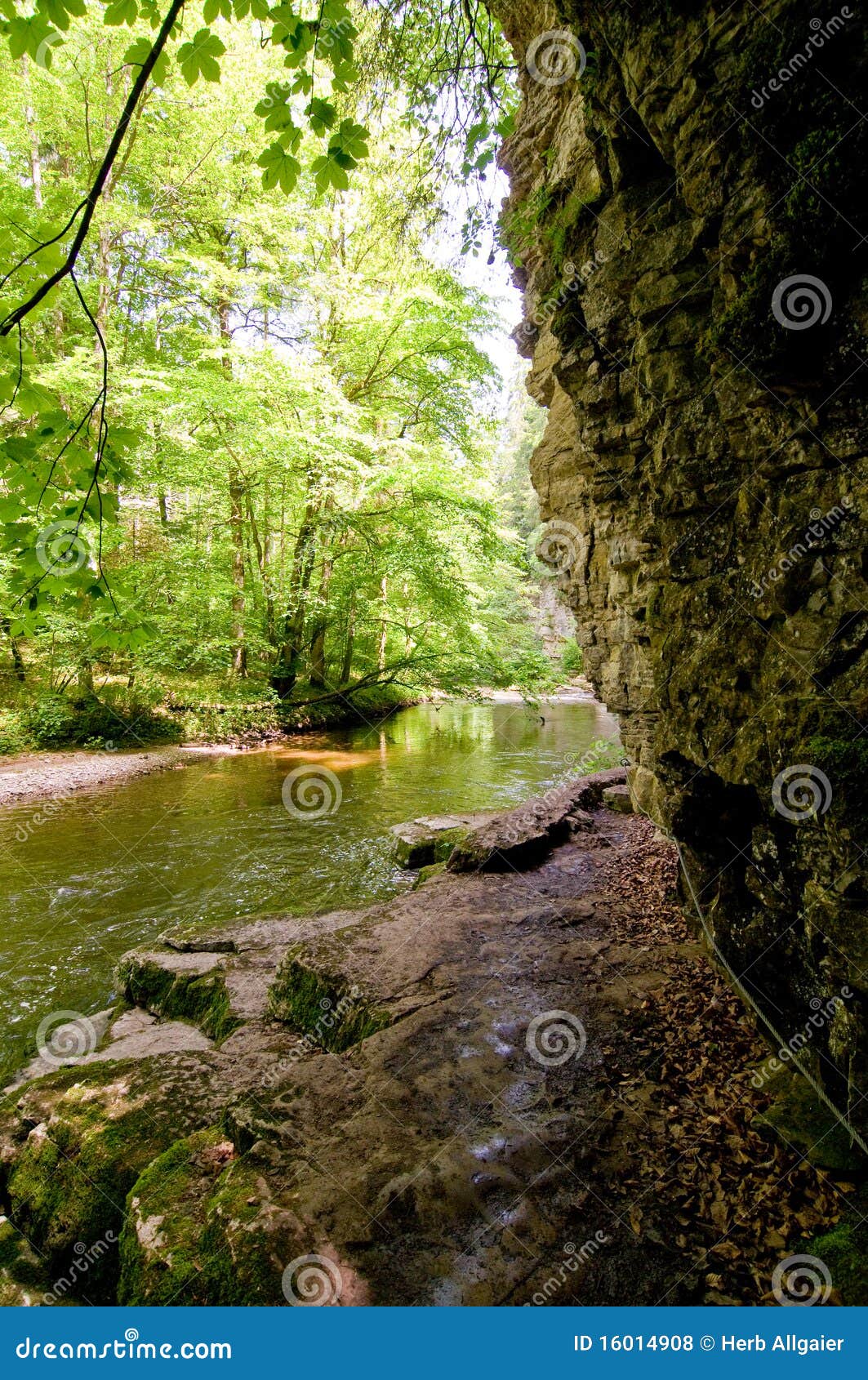 Stone trail stock photo. Image of nature, line, tree - 16014908