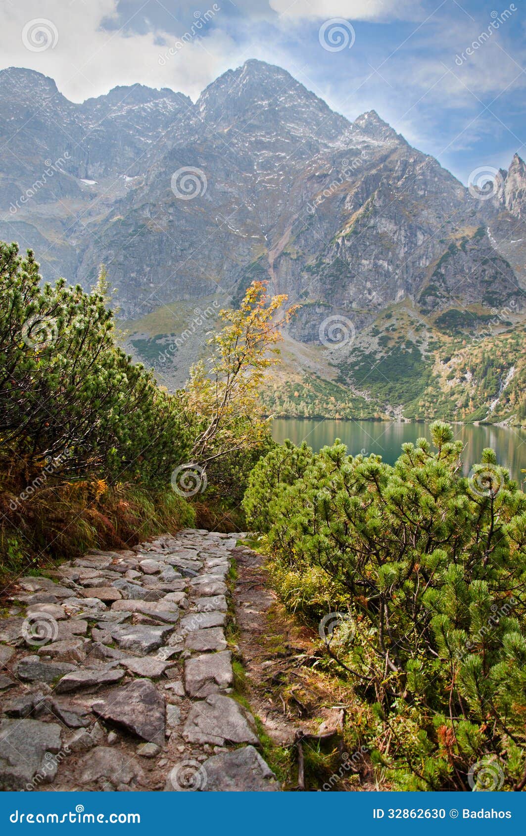 Stone trail stock photo. Image of national, pine, tourism - 32862630