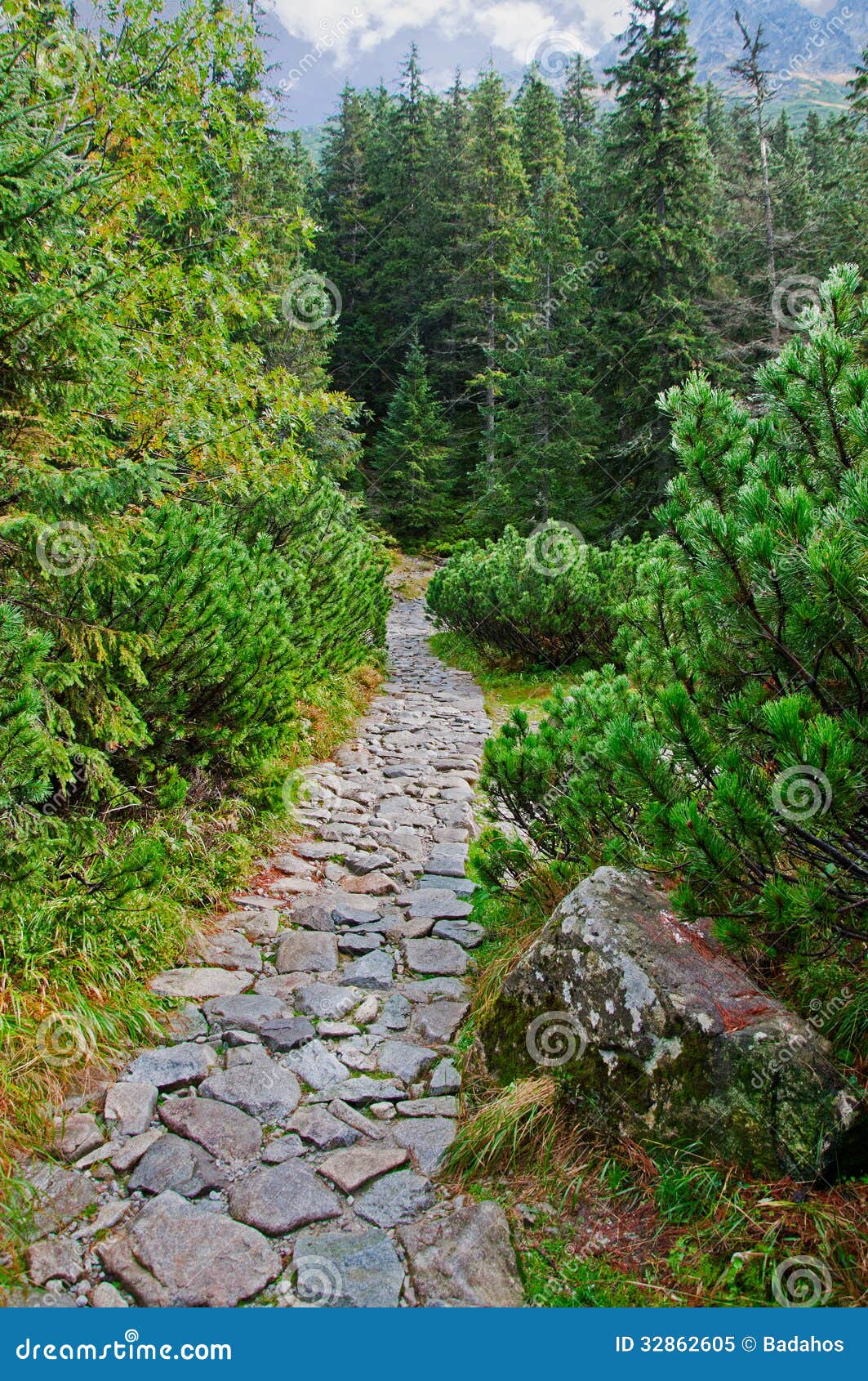 Stone trail stock image. Image of green, perspective - 32862605