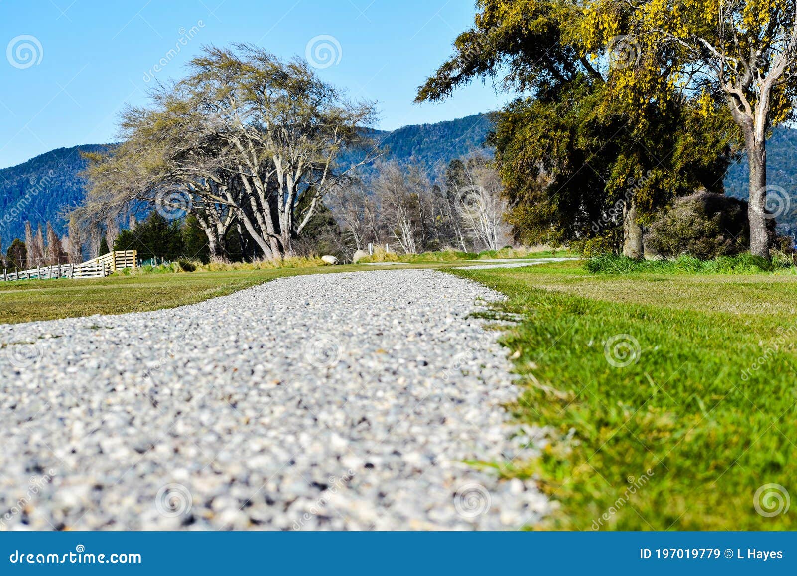 A Stone Trail Leading To Chute Du Carbet Waterfalls Group Inside A ...