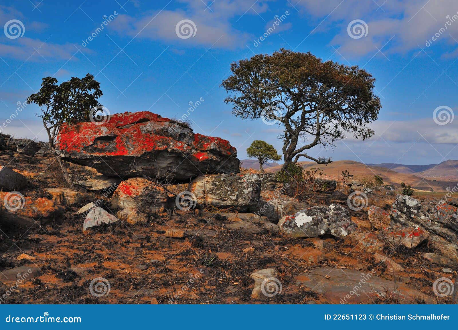 Stone and Tree stock image. Image of rock, river, nature - 22651123