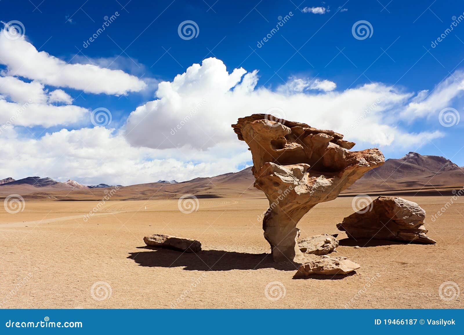 Stone Tree, Arbol De Piedra, Bolivia Stock Image - Image of uyuni ...