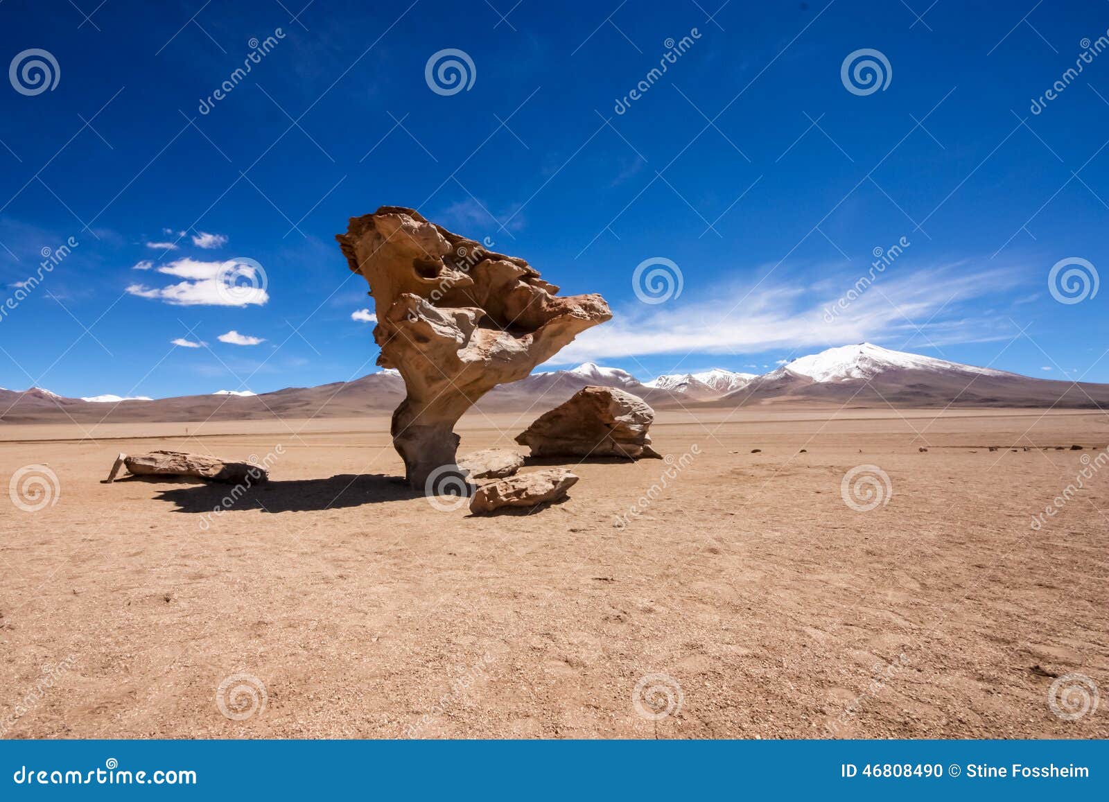 Stone Tree stock photo. Image of scenic, emptiness, andes - 46808490