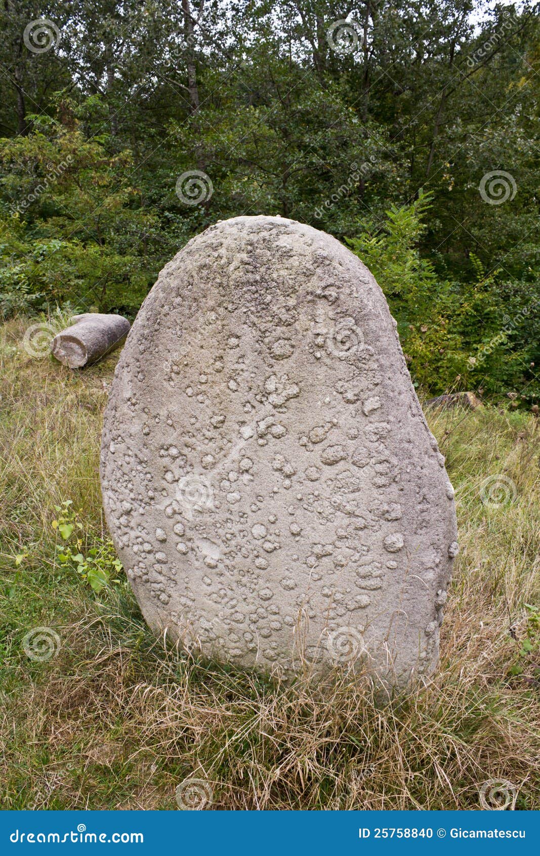 Stone in Trovant s Museum stock photo. Image of sand - 25758840