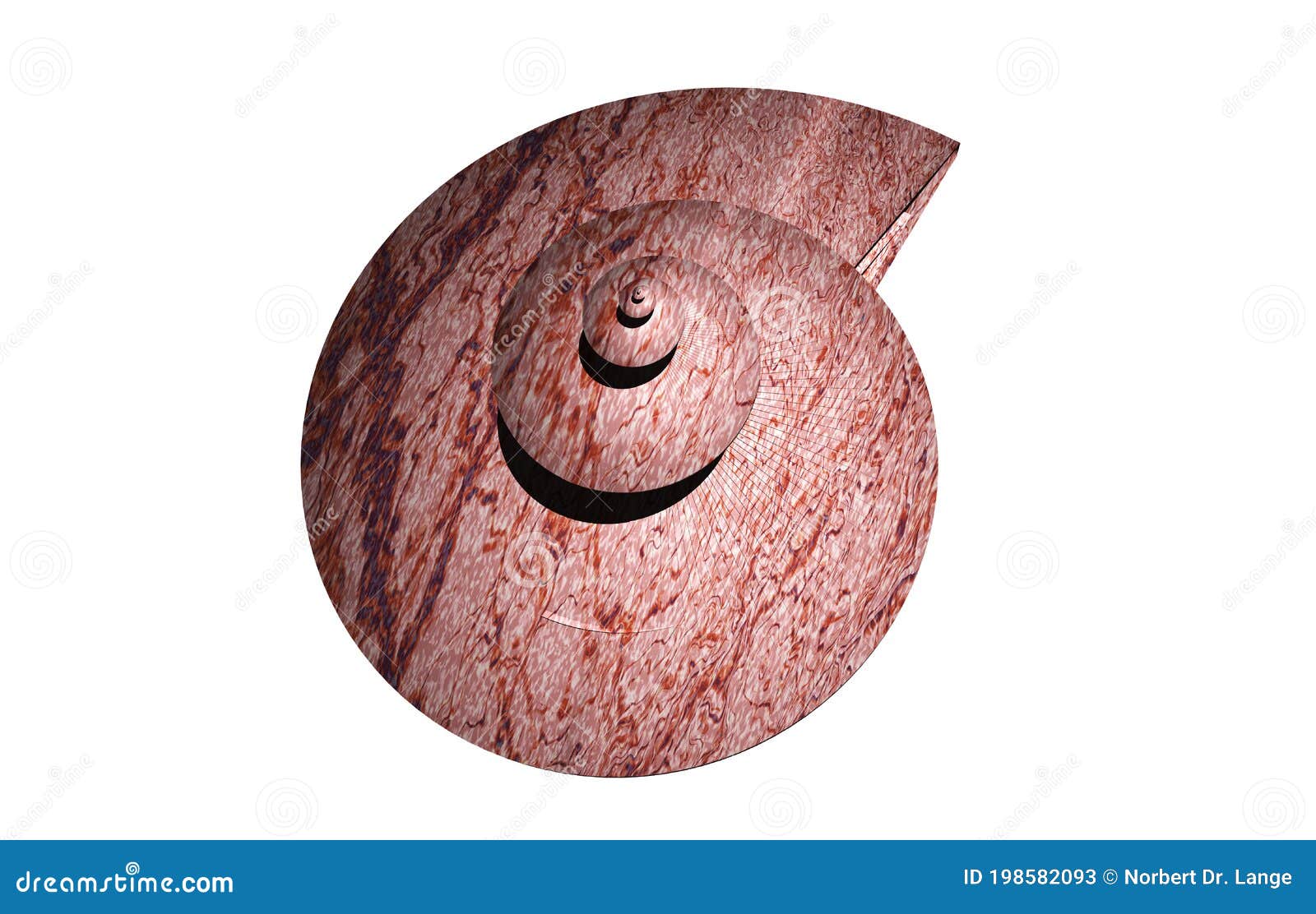 Stone turned snail shell stock image. Image of limestone - 198582093