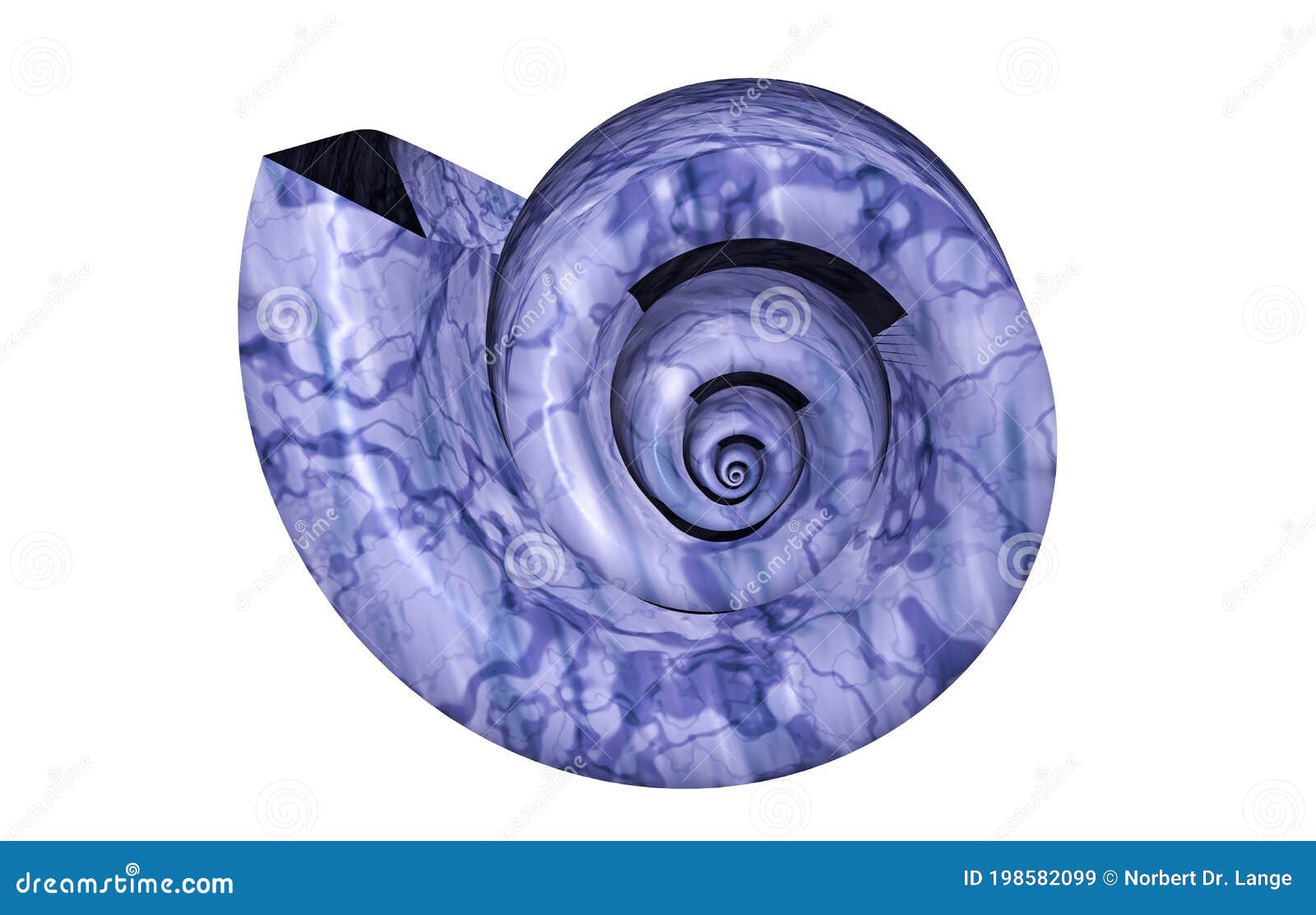 Stone turned snail shell stock illustration. Illustration of shell ...