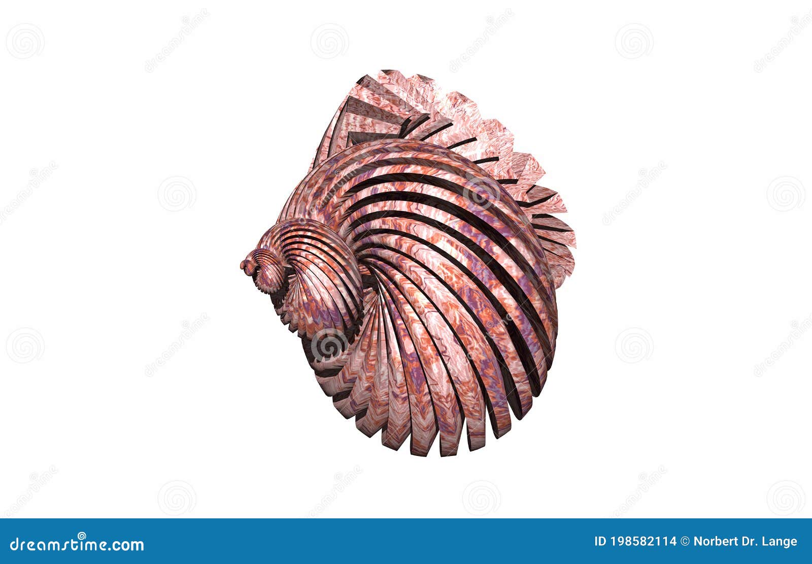 Stone turned snail shell stock illustration. Illustration of horn ...