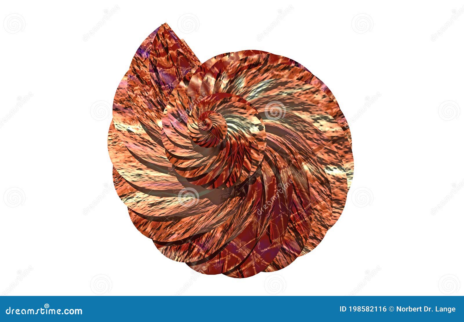 Stone turned snail shell stock illustration. Illustration of graphics ...