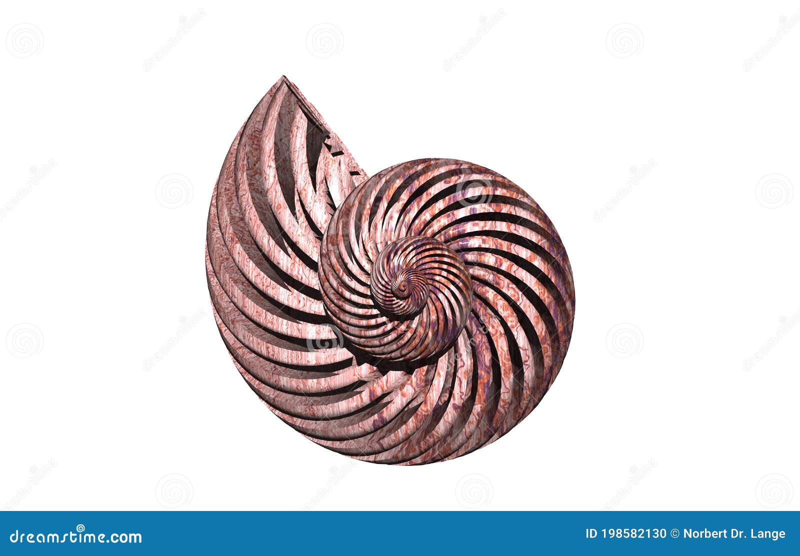 Stone turned snail shell stock illustration. Illustration of horn ...