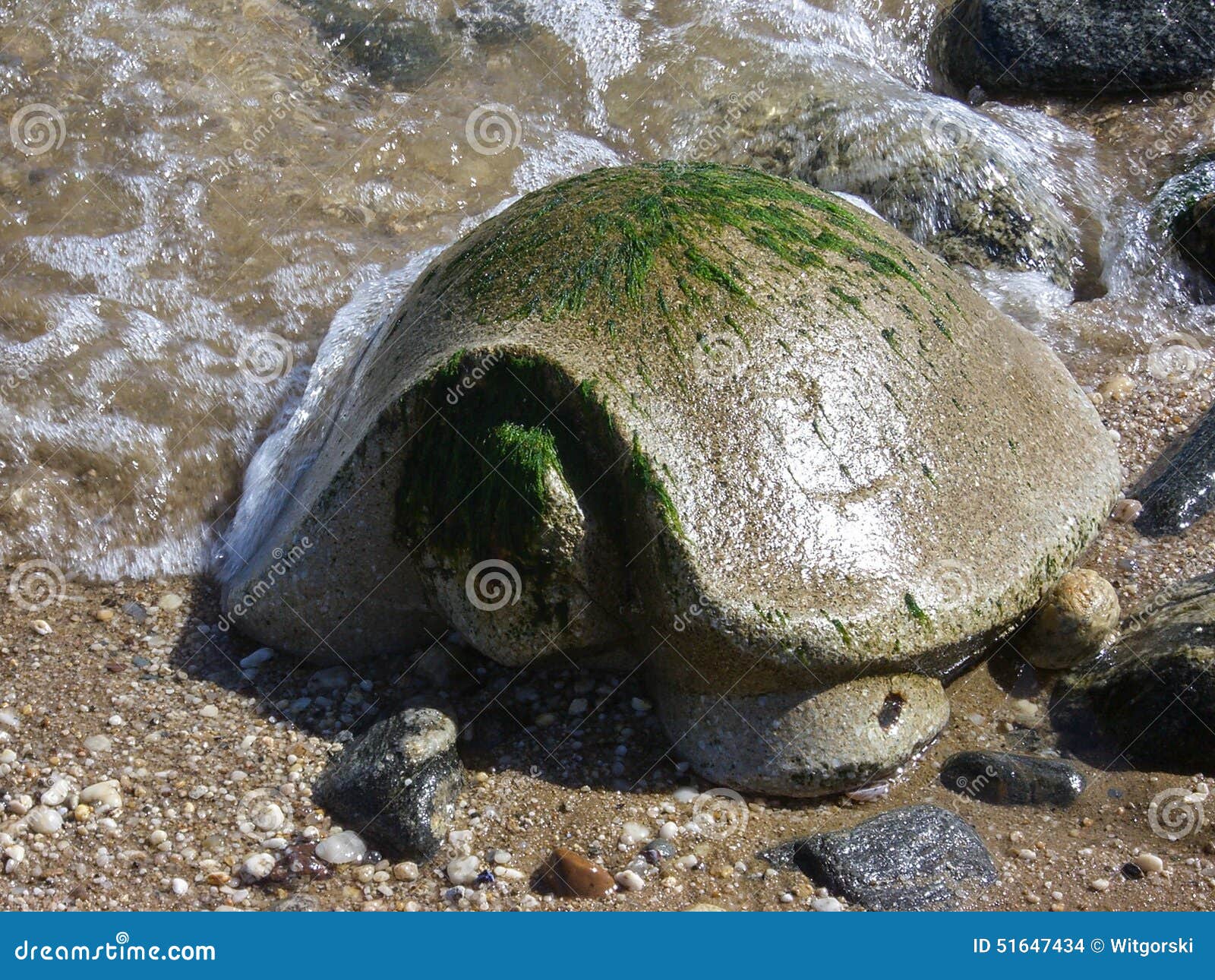 Stone Turtle at the Seashore Stock Photo - Image of tortoise, solid ...