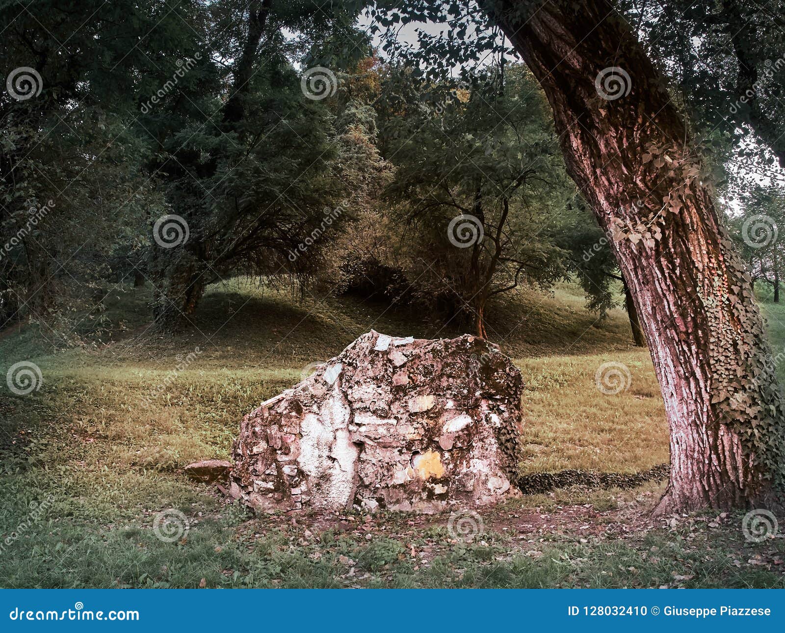 A stone under the tree stock photo. Image of maple, milan - 128032410