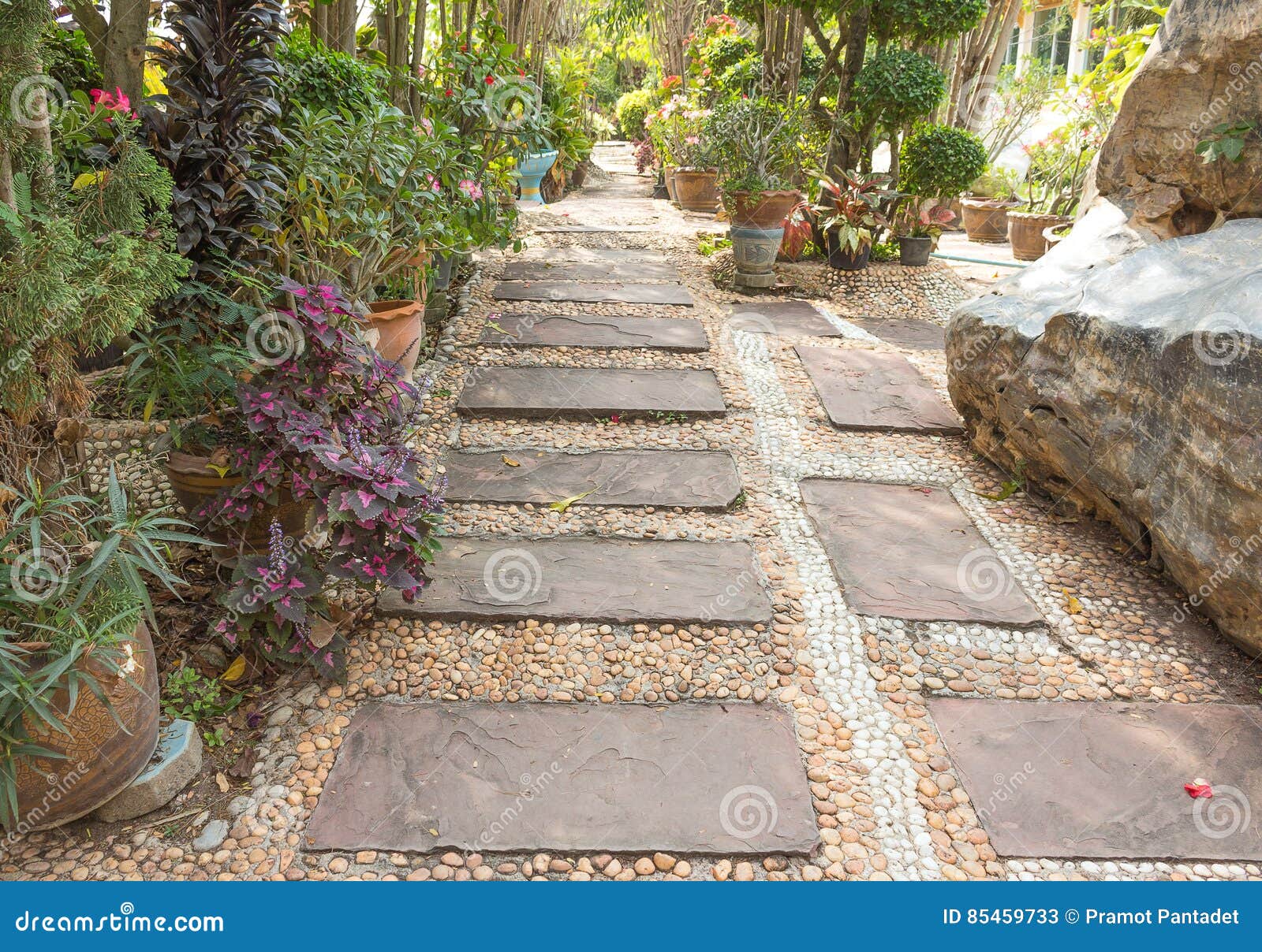 115,501 Backyard Background Stock Photos - Free & Royalty-Free Stock ...