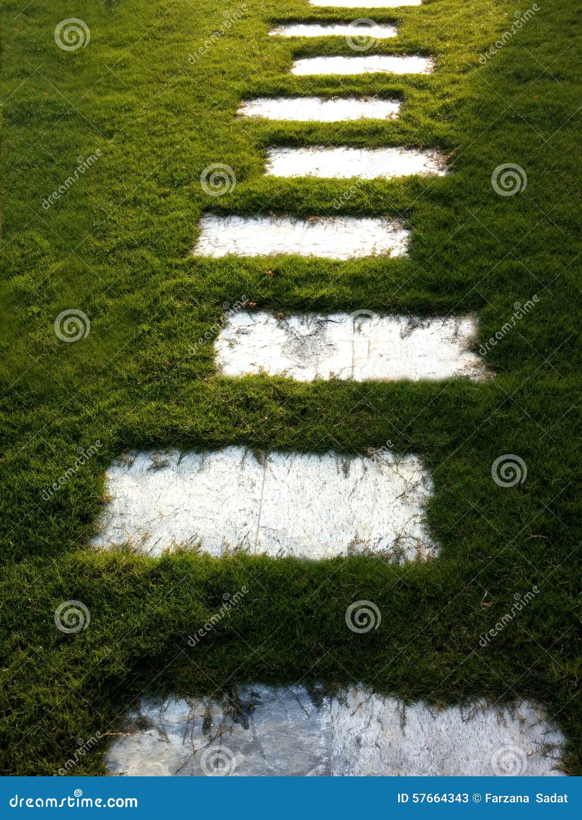 Stone walk way stock image. Image of field, formal, landscaped - 57664343