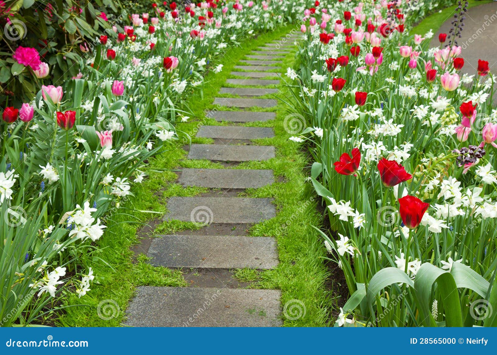 Stone Walk Way Winding in a Garden Stock Photo - Image of floral ...
