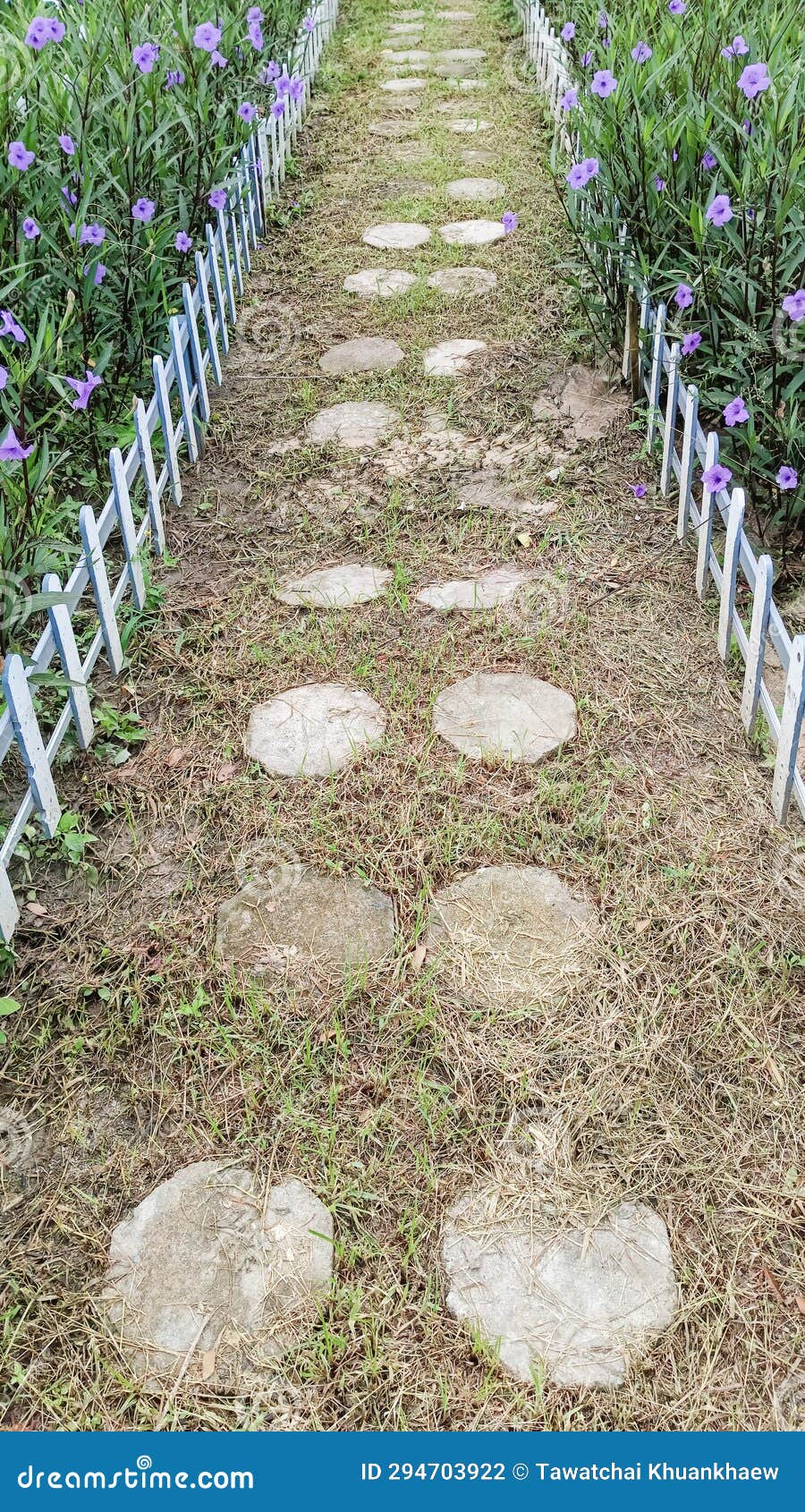 Stone Walk Way Winding in Spring Formal Flower Garden Stock Photo ...