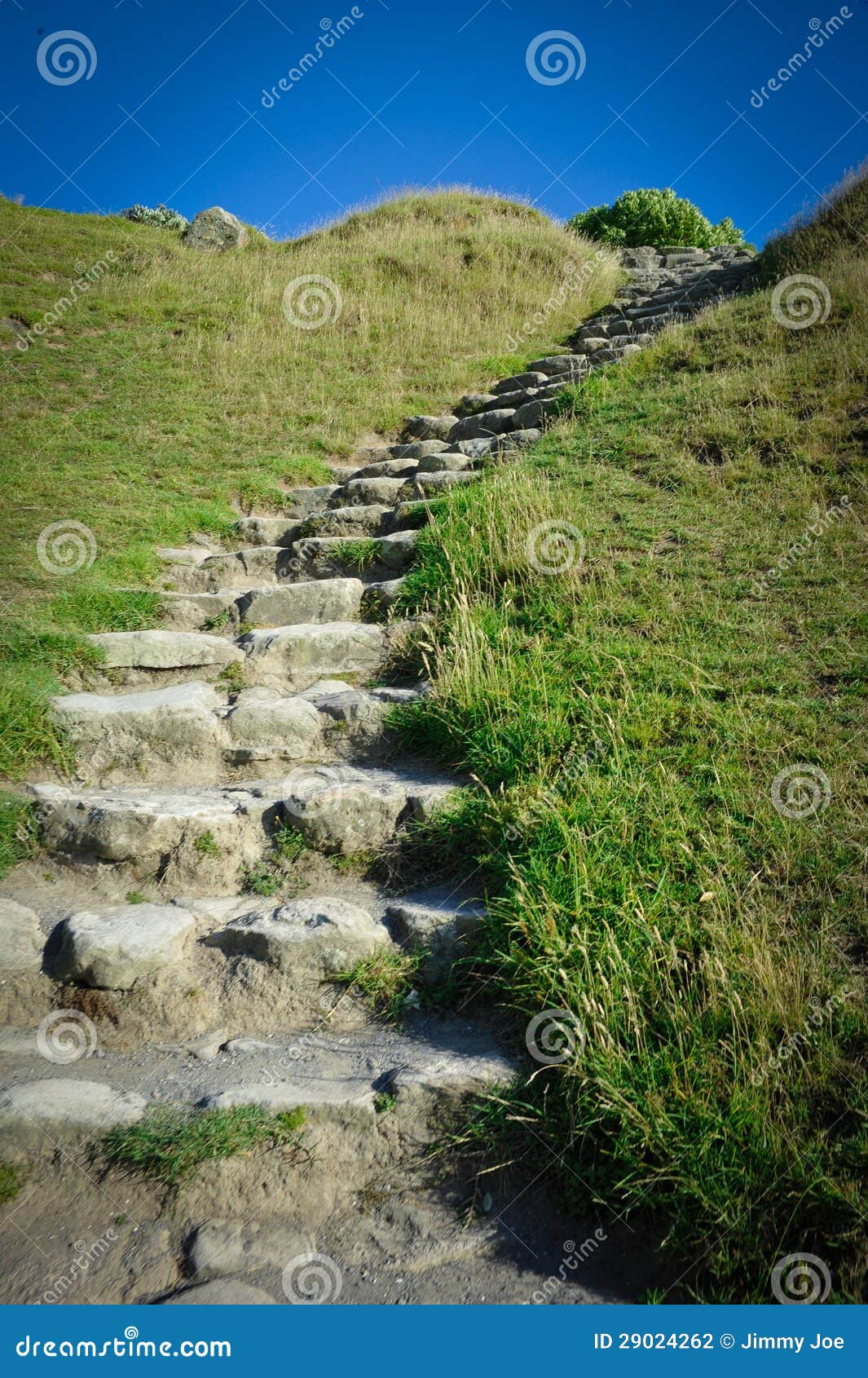 Stone walking track stock photo. Image of zealand, stone - 29024262