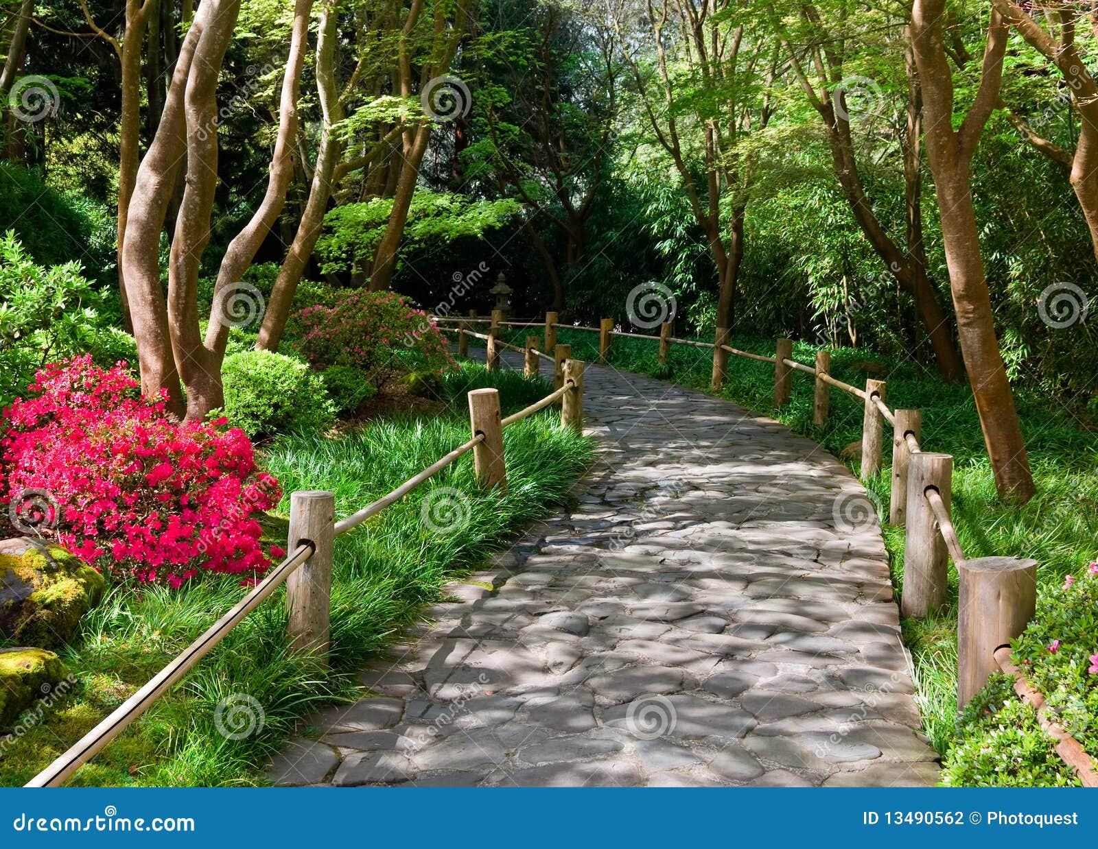 Stone Walkway Texture Seamless Patterns White Gray Background Stock ...