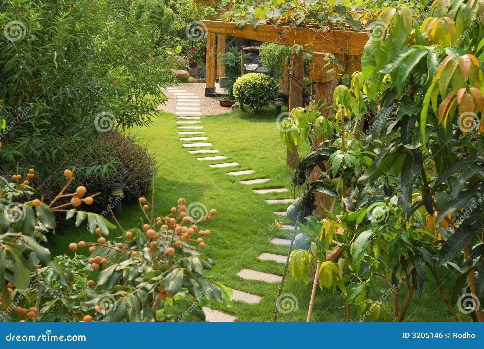 Stone Walkway Texture Seamless Patterns White Gray Background Stock ...