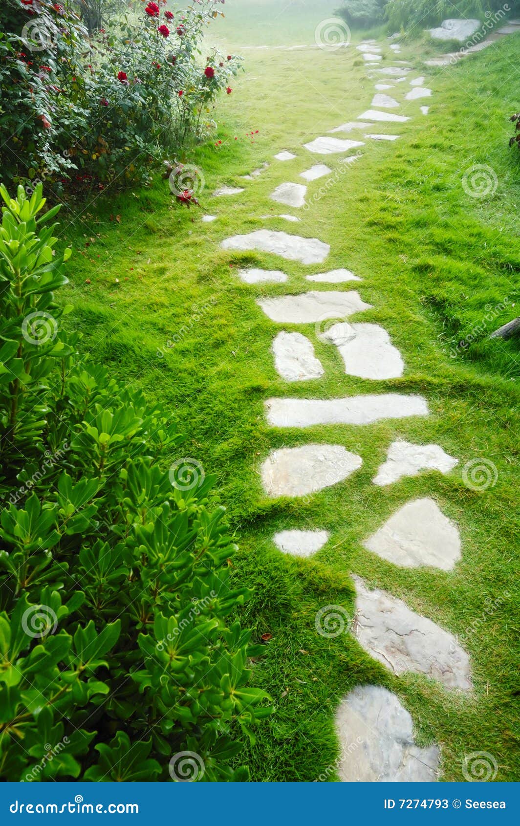 Stone Walkway Texture Seamless Patterns White Gray Background Stock ...