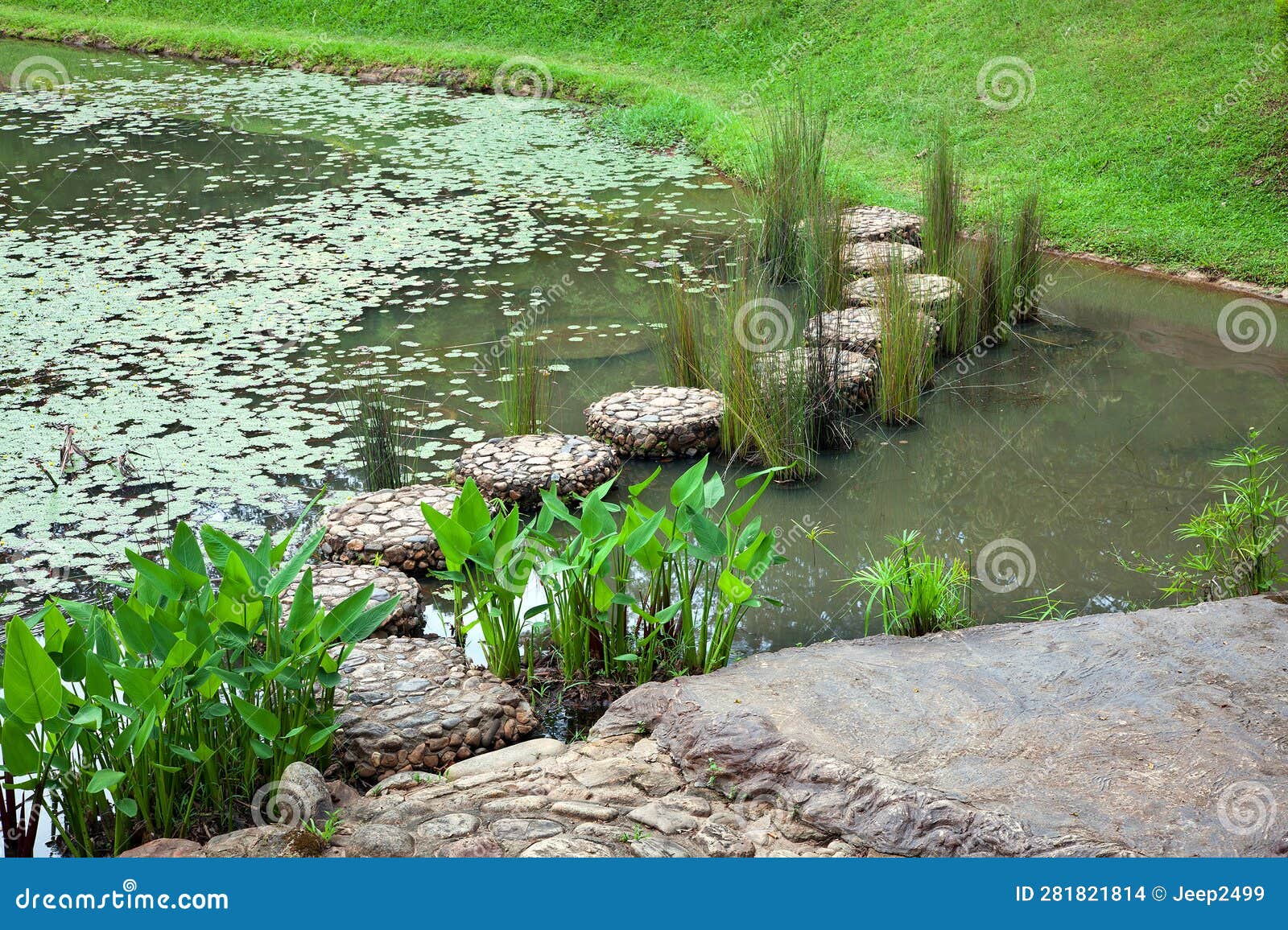 Stone Walkway Across the River. Stock Photo - Image of walkway, bridge ...