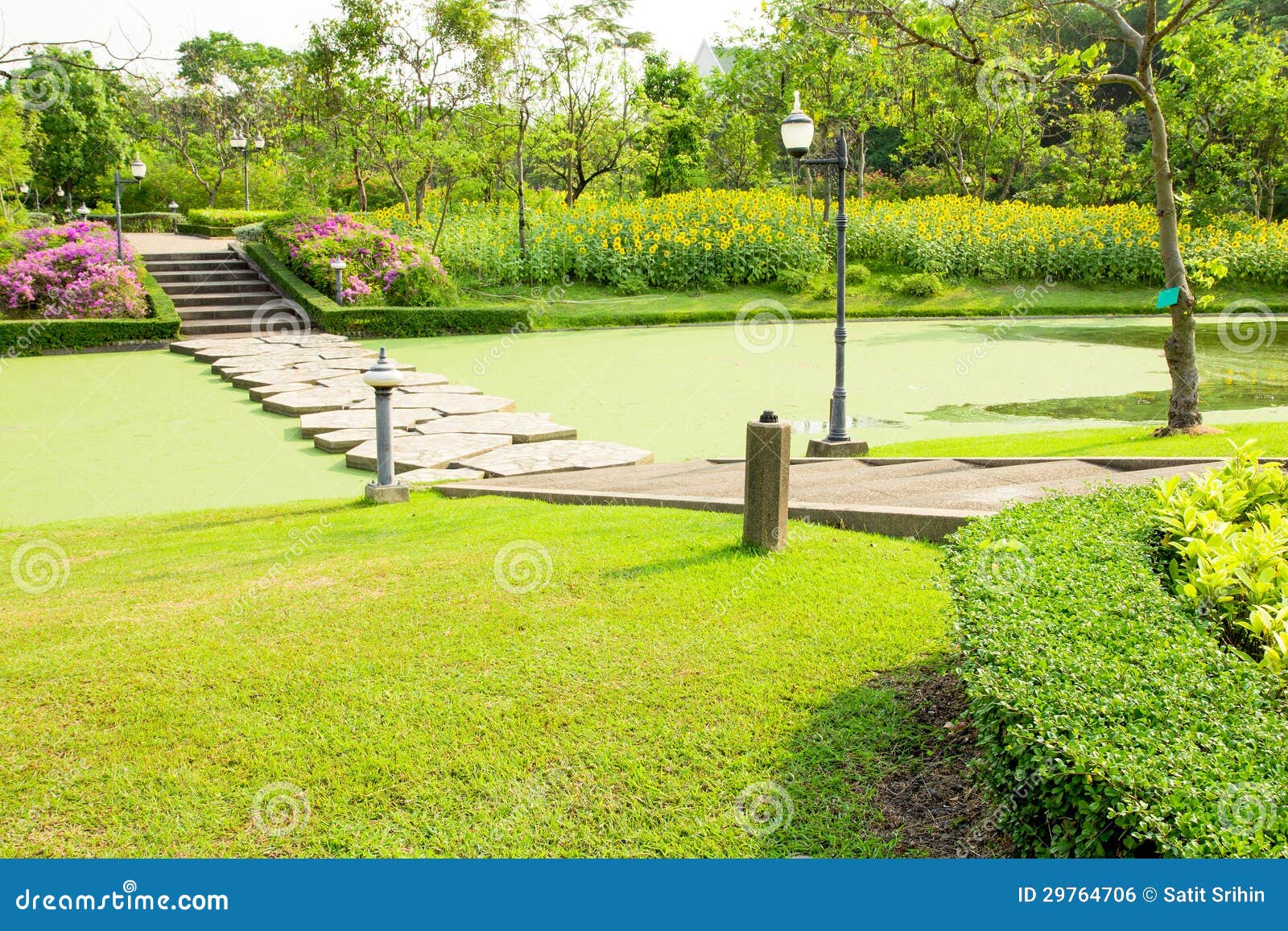 Stone walkway across water stock photo. Image of pavement - 29764706