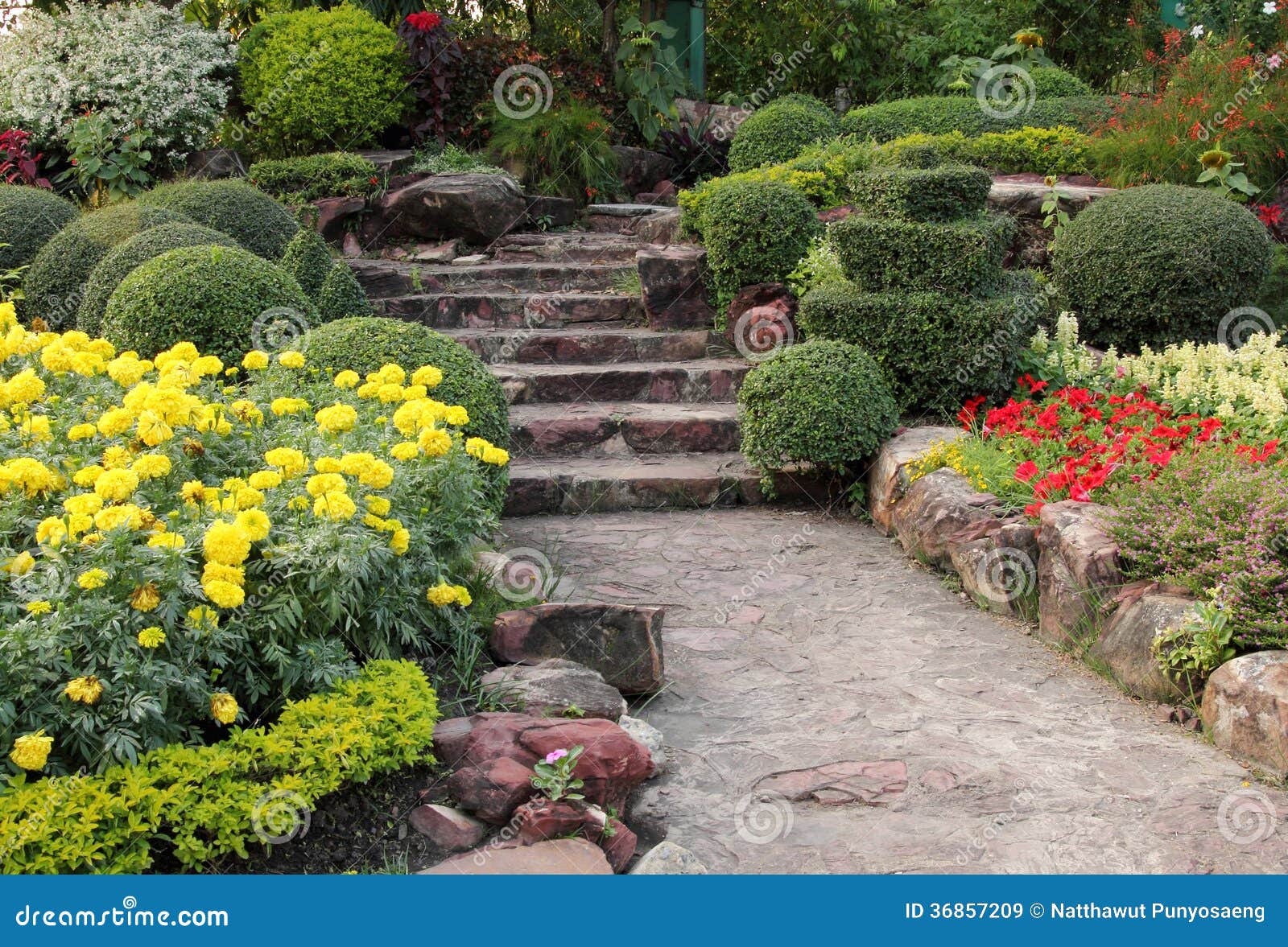 Stone Walkway in Flower Garden Stock Image - Image of floral, colorful ...