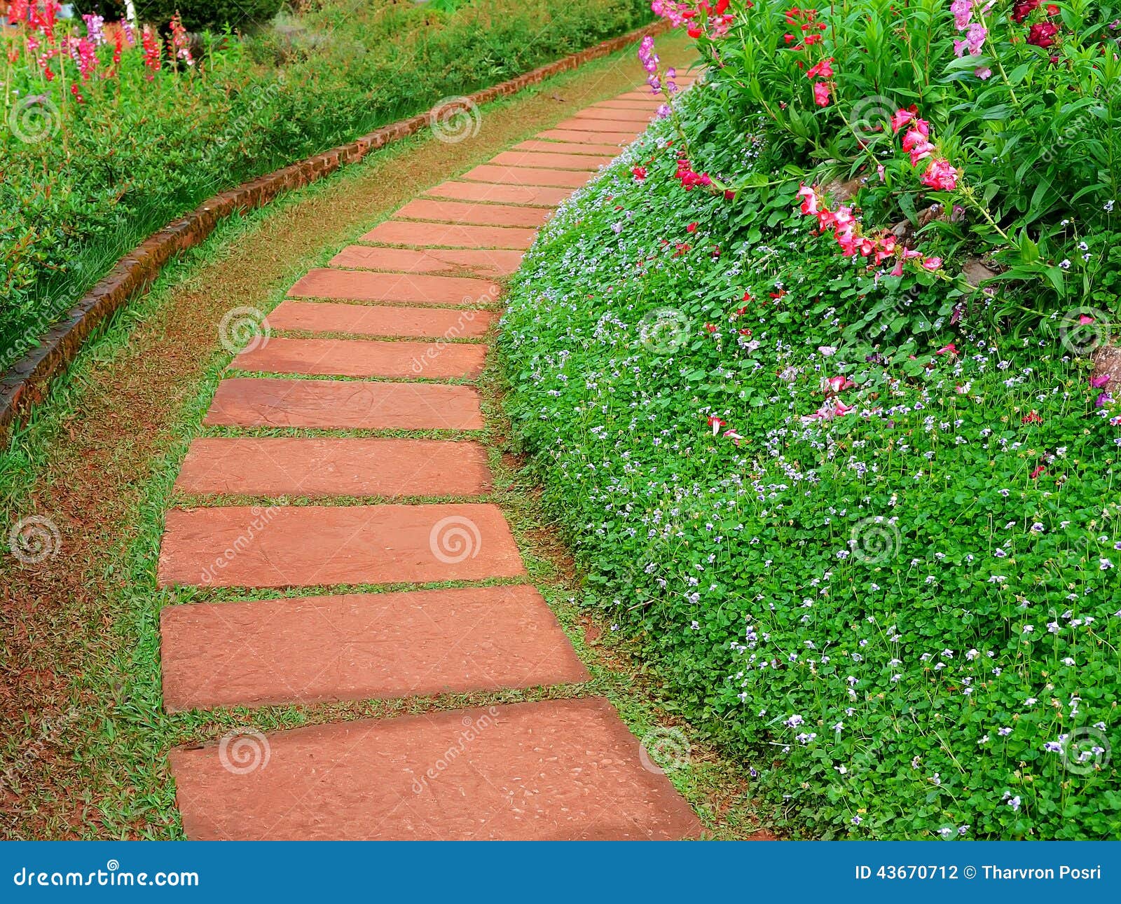 Stone Walkway in Flower Garden Stock Photo - Image of gardening, flower ...