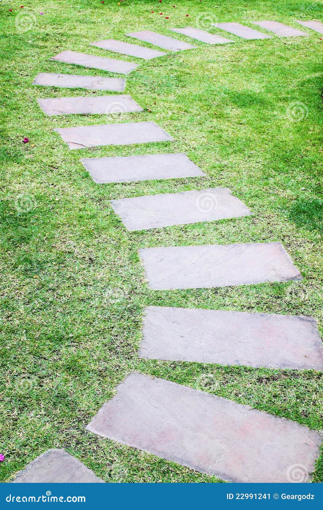 Stone Walkway in the Garden Stock Image - Image of garden, concept ...