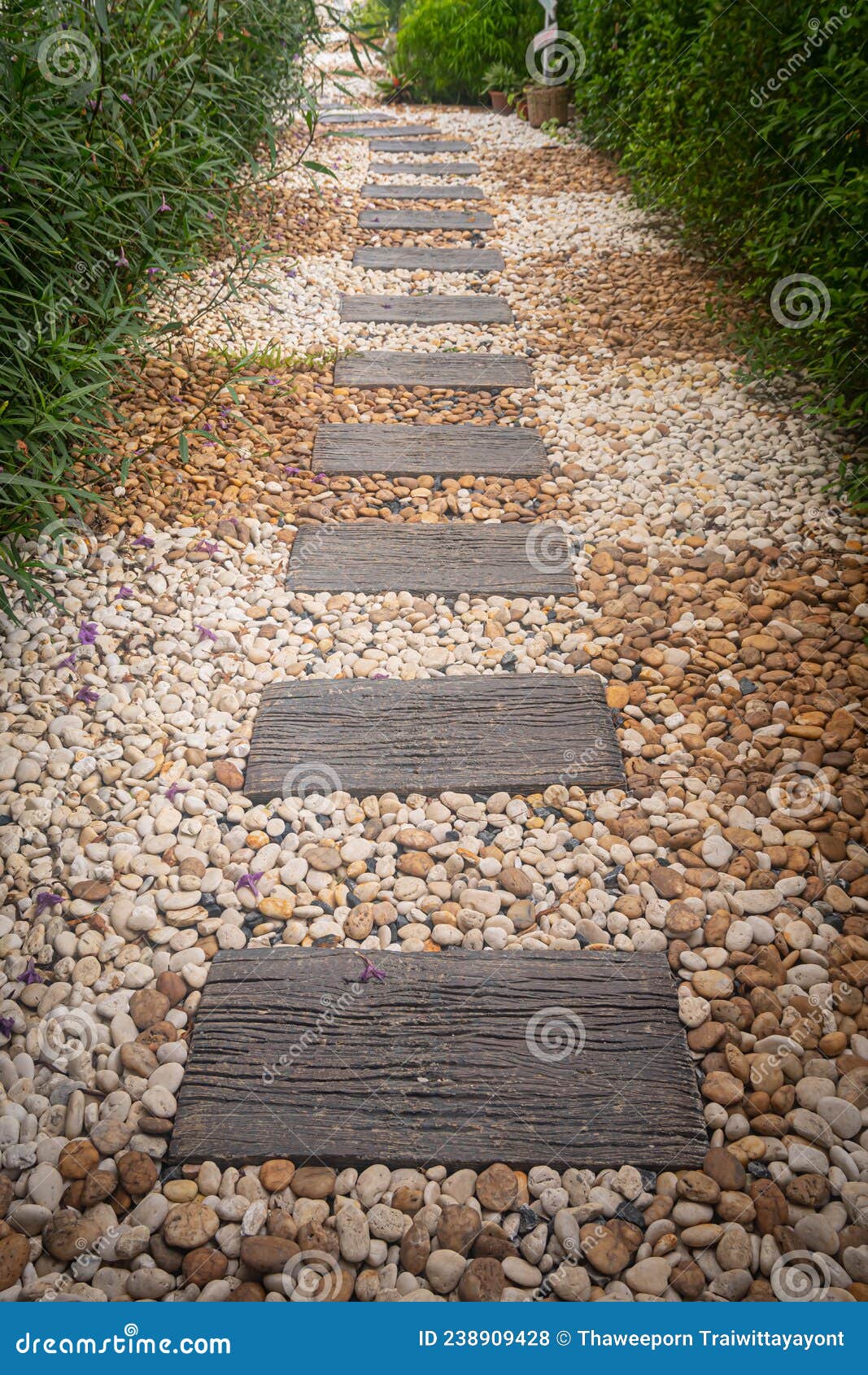 Brown and White Stone Walkway in the Garden Stock Photo - Image of ...