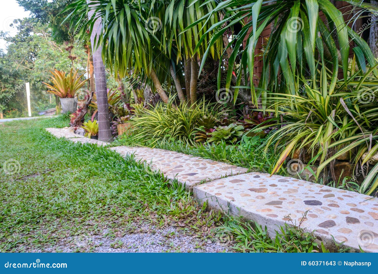 Stone Walkway in the Garden Stock Image - Image of nature, harmony ...