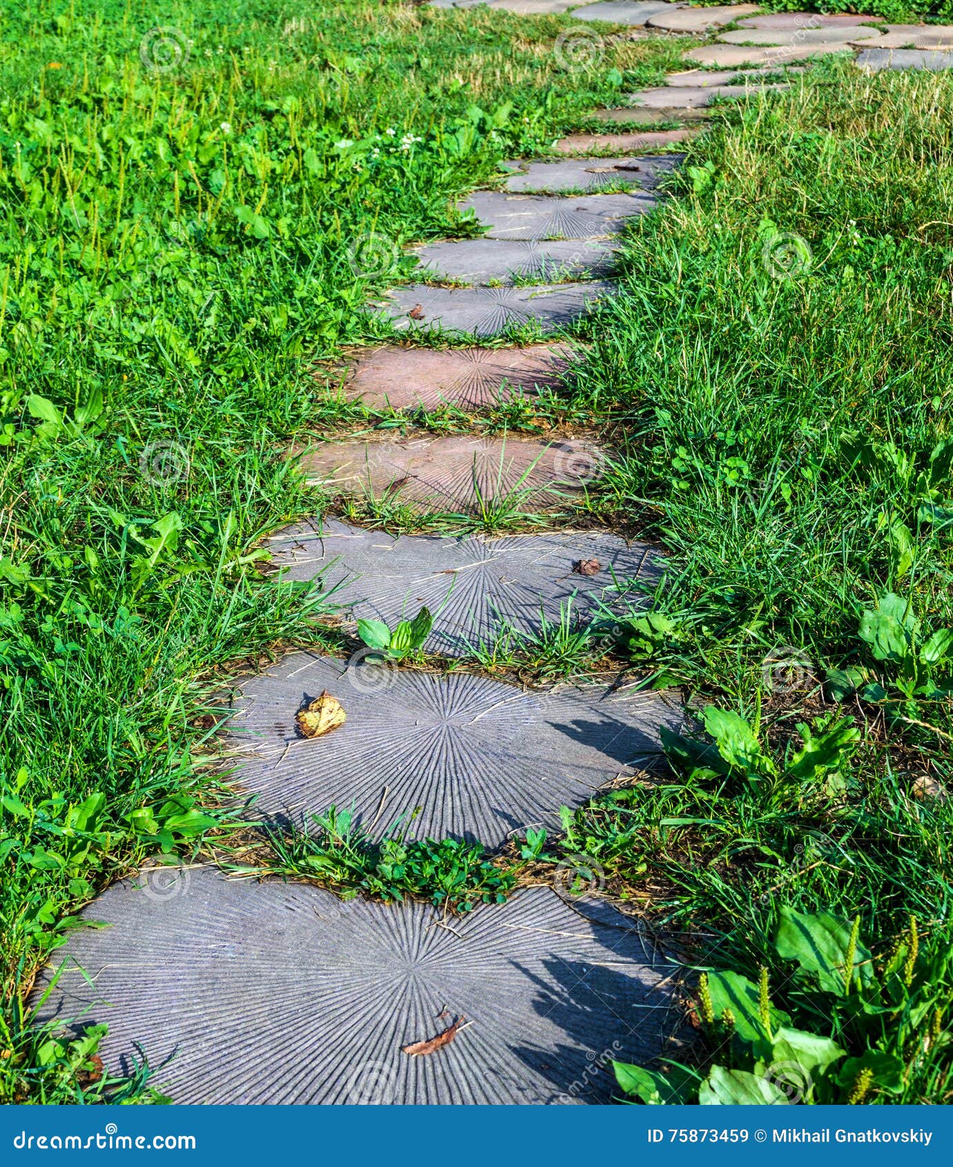 Stone Walkway in the Garden Stock Image - Image of footpath, natural ...
