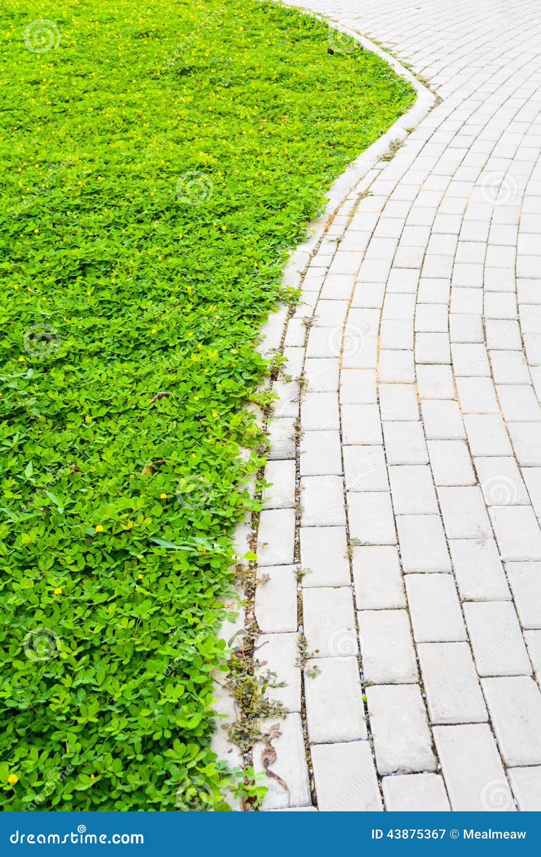 Stone Walkway through Grass Field Stock Image - Image of outdoor ...