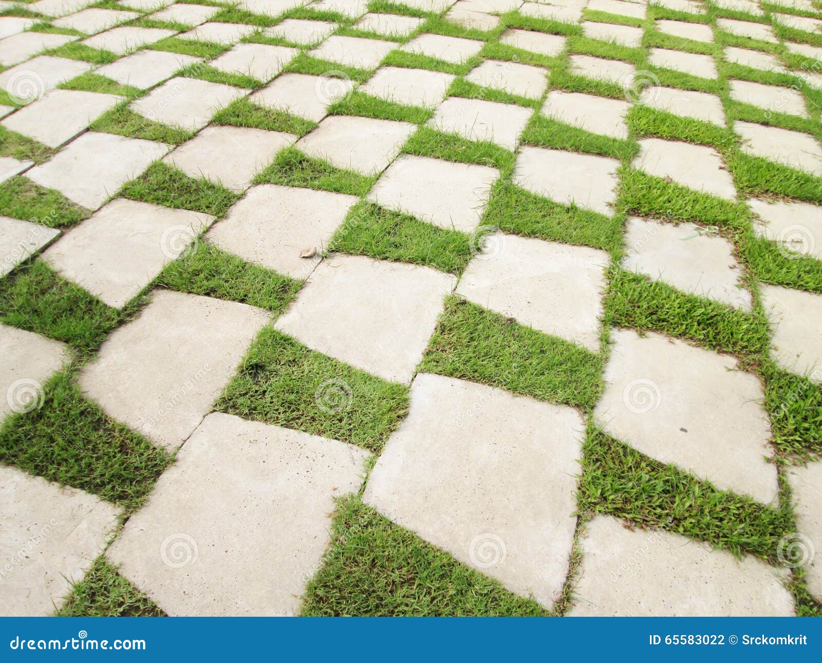 Stone Walkway on a Grassy Field Stock Photo - Image of natural, ground ...
