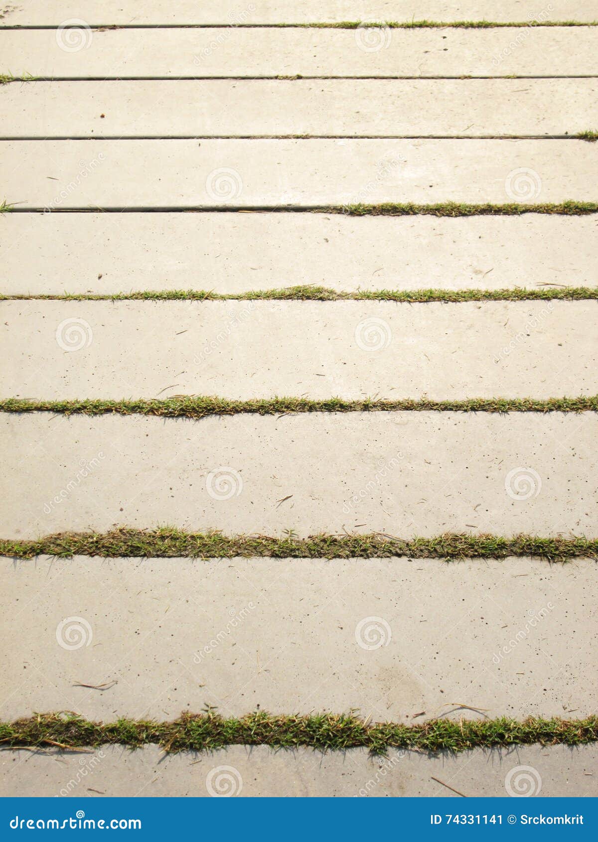 Stone Walkway on a Grassy Field Stock Image - Image of curve, nature ...