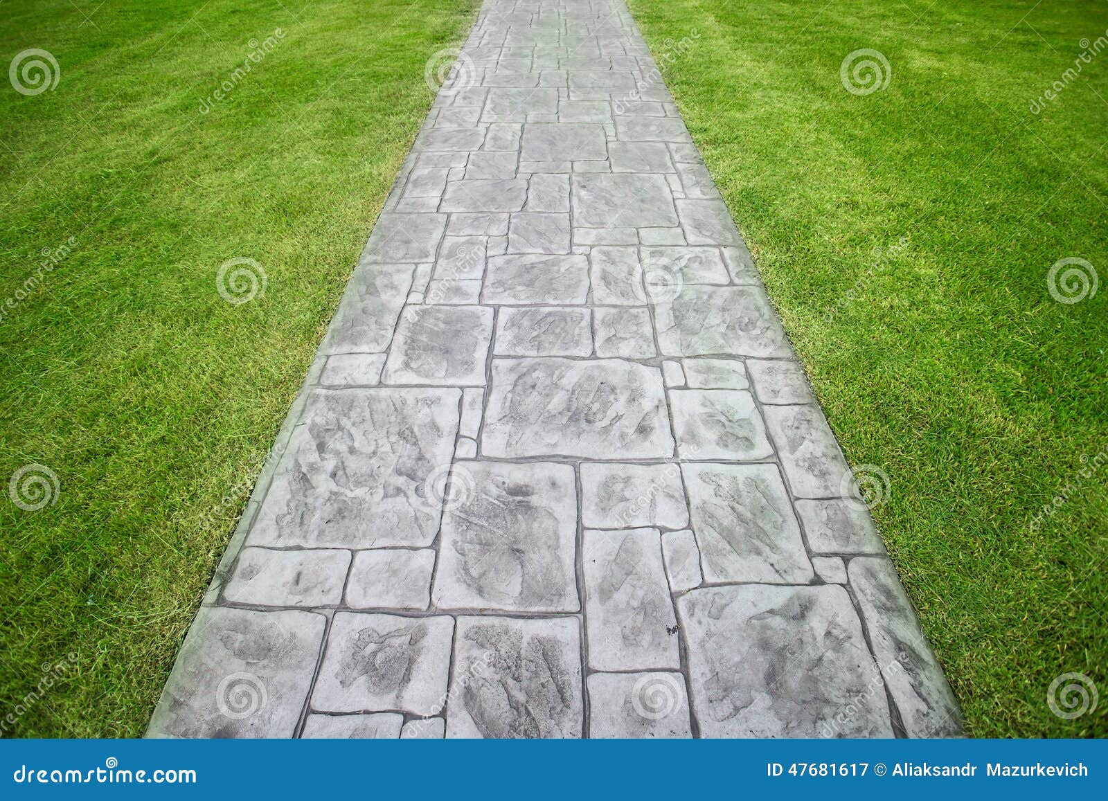 Stone Walkway on a Grassy in the Park Stock Image - Image of landscape ...