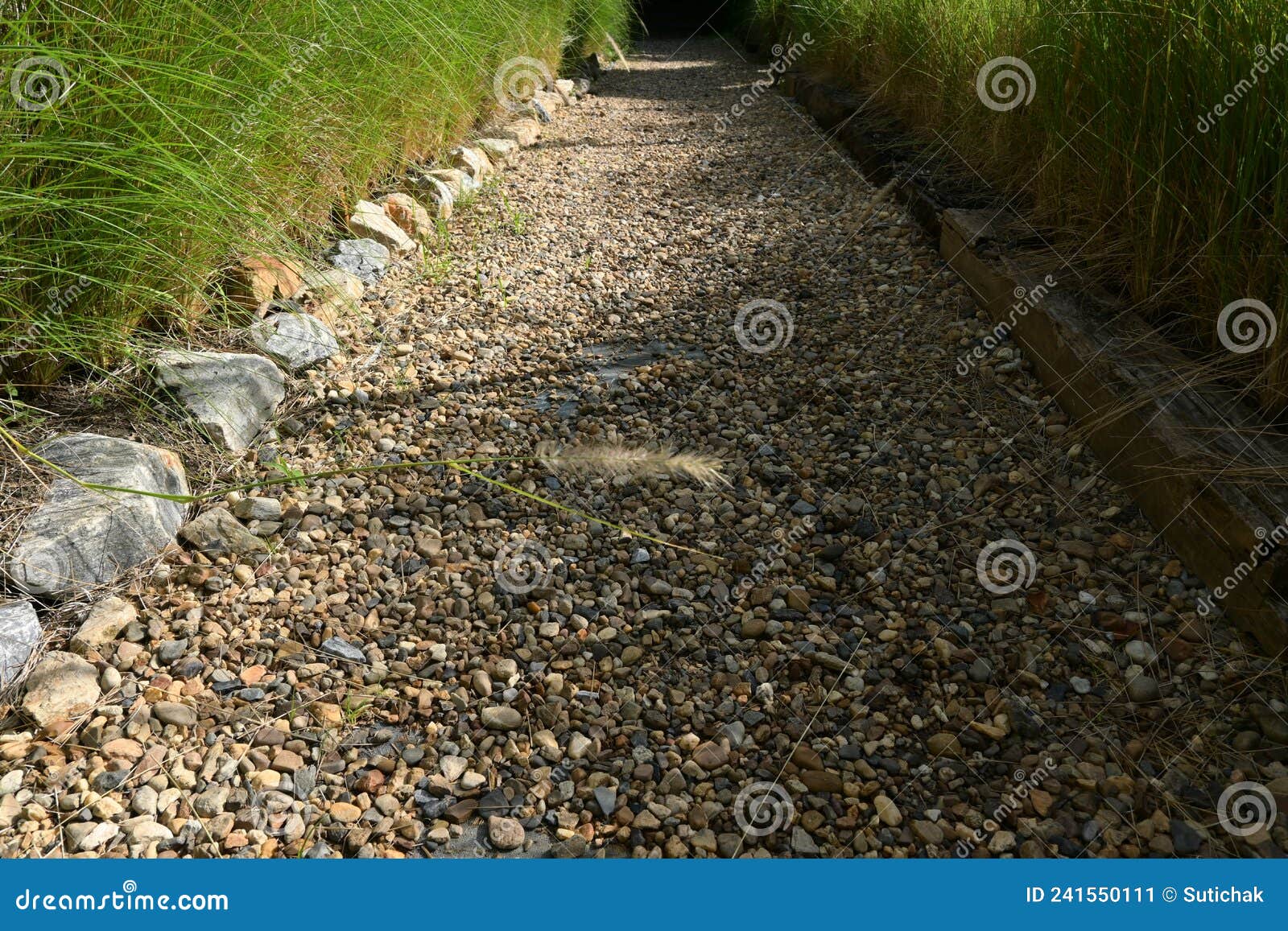 Stone Walkway with Green Garden, Exterior Design Stock Image - Image of ...