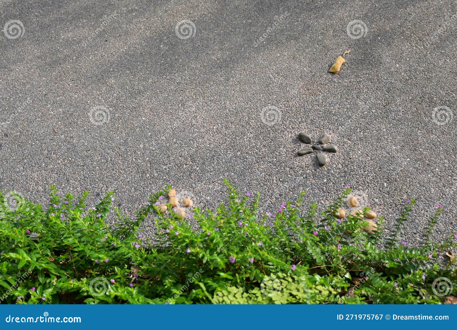 Grey Stone Walkway with Green Garden, Exterior Design Stock Image ...