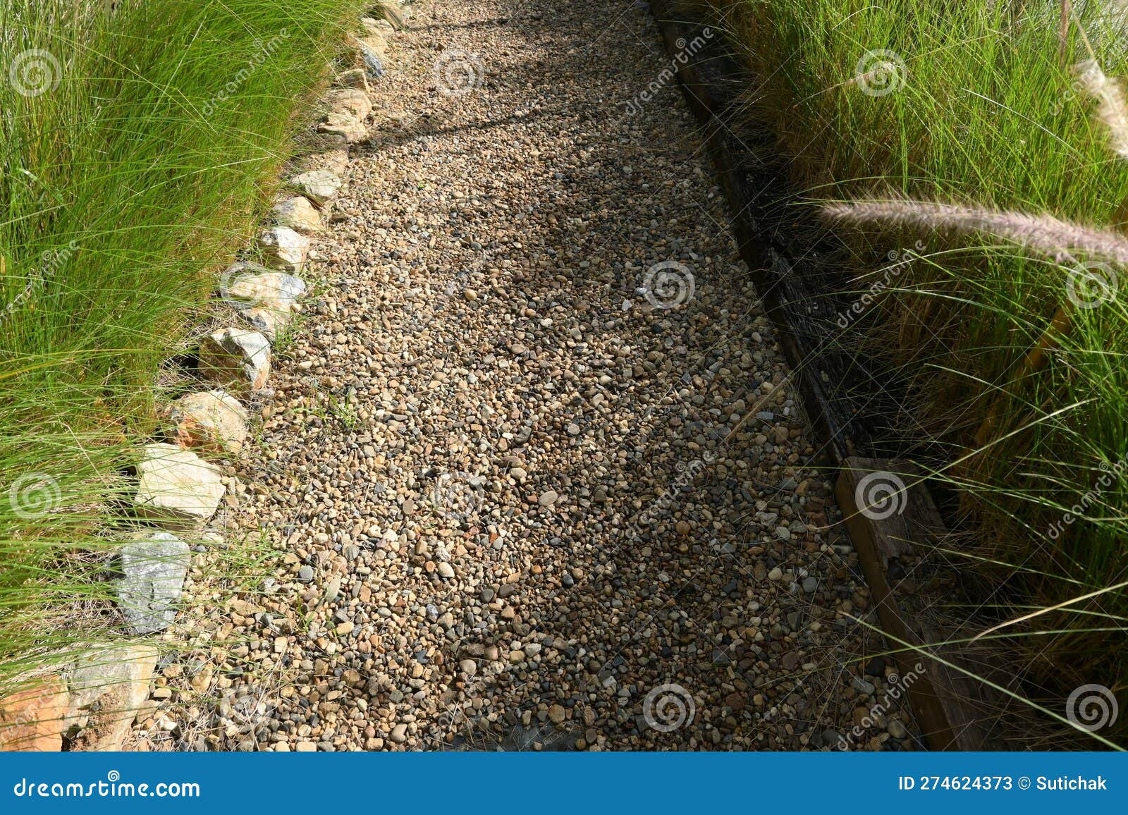 Stone Walkway with Green Garden, Exterior Design for Home Stock Image ...