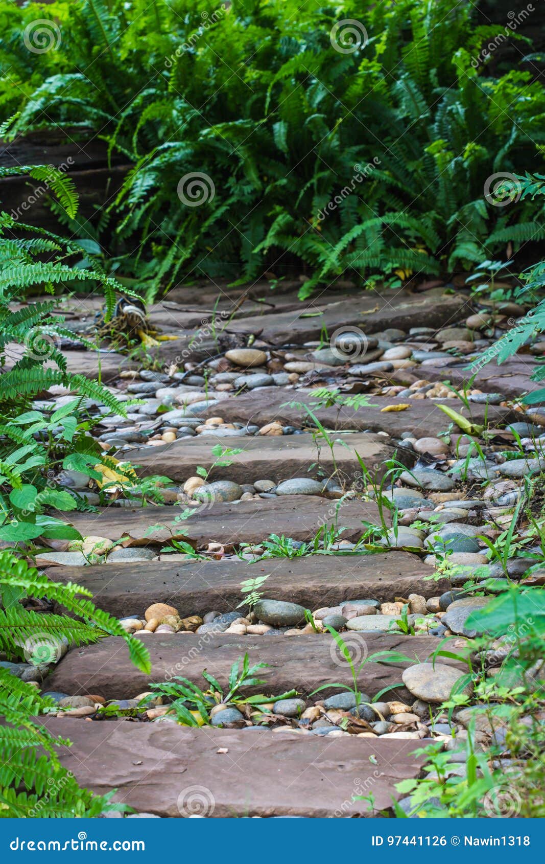 Stone Walkway on Green Grass Stock Photo - Image of park, walk: 97441126