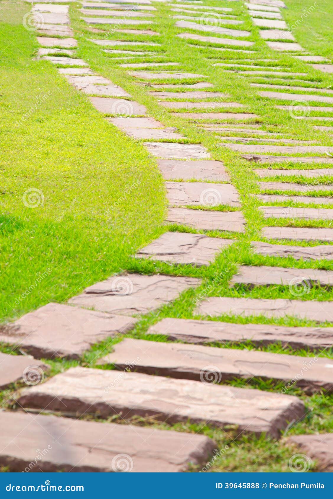 Stone Walkway on Green Grass Stock Photo - Image of field, pathway ...