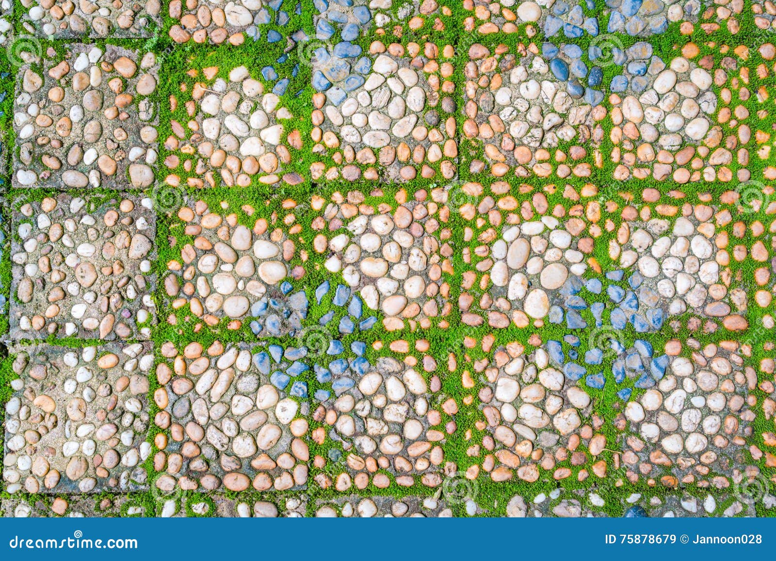 Stone Walkway with Green Moss . Stock Image - Image of park, grass ...