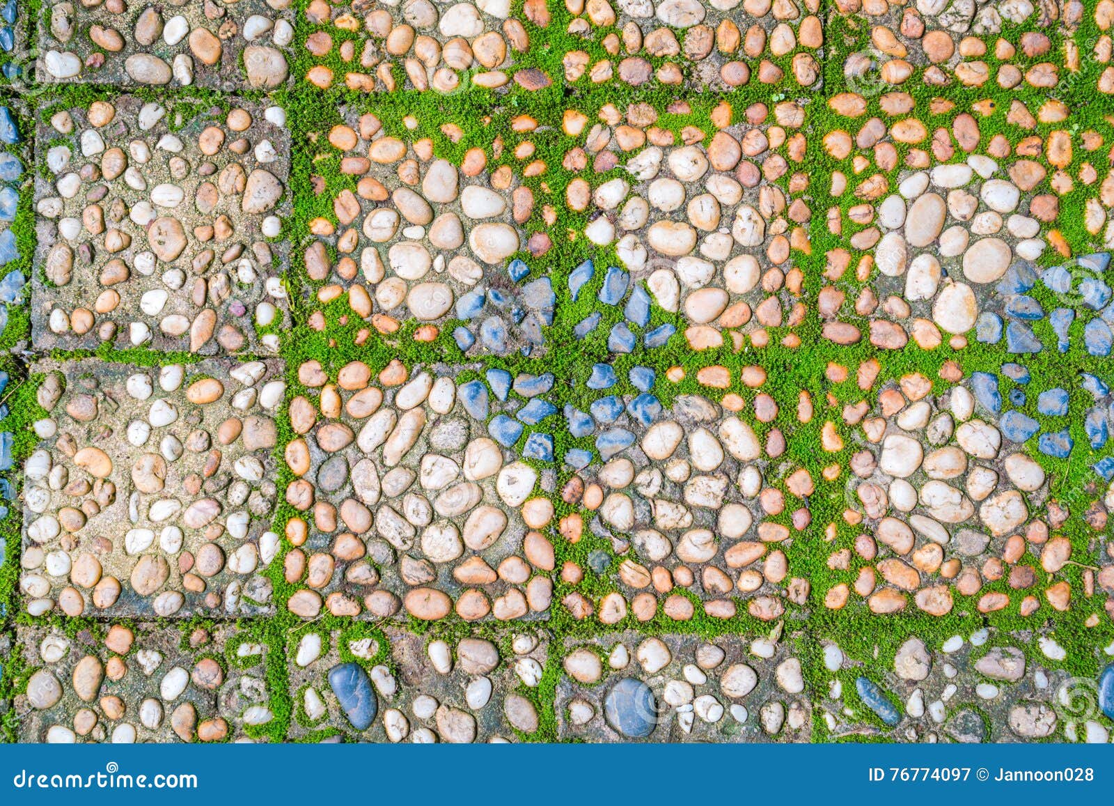 Stone Walkway with Green Moss . Stock Image - Image of pattern ...