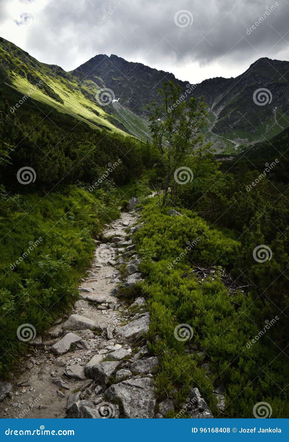 Stone Walkway Mountain Landscape Stock Photo - Image of summer, outdoor ...